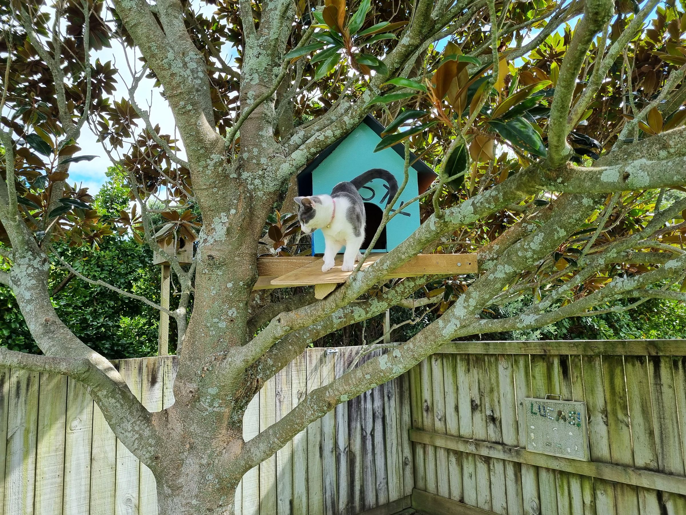 Cat Treehouse : 5 Steps (with Pictures) - Instructables