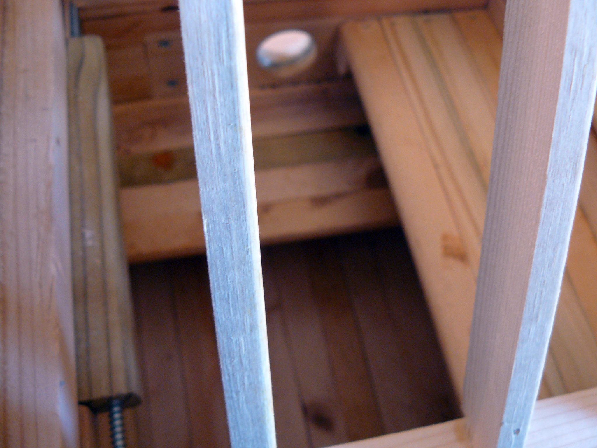 Flying Squirrel House W/Spy Cam : 4 Steps (with Pictures) - Instructables