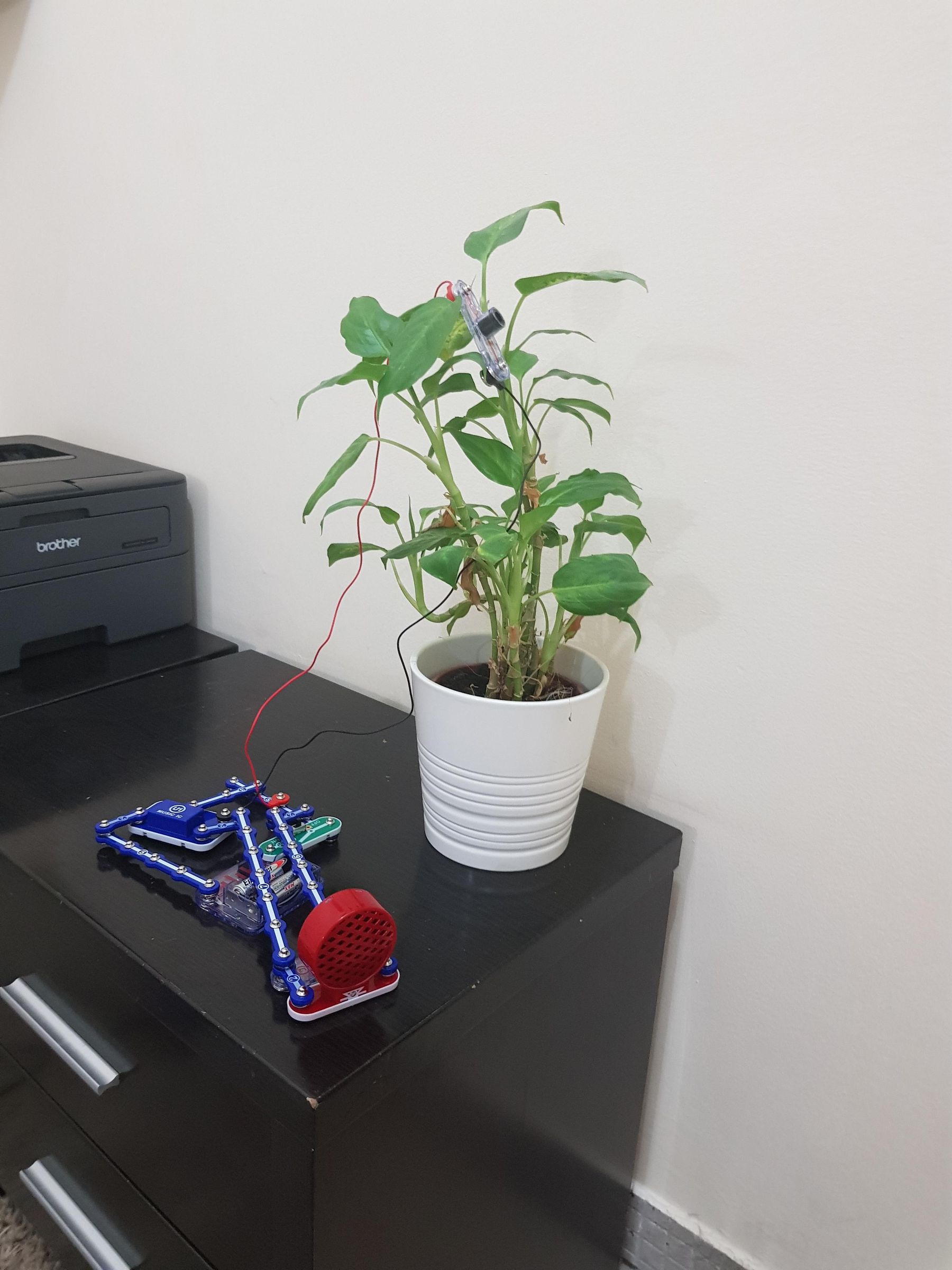 Plant Sunlight Alerting Armour : 5 Steps - Instructables