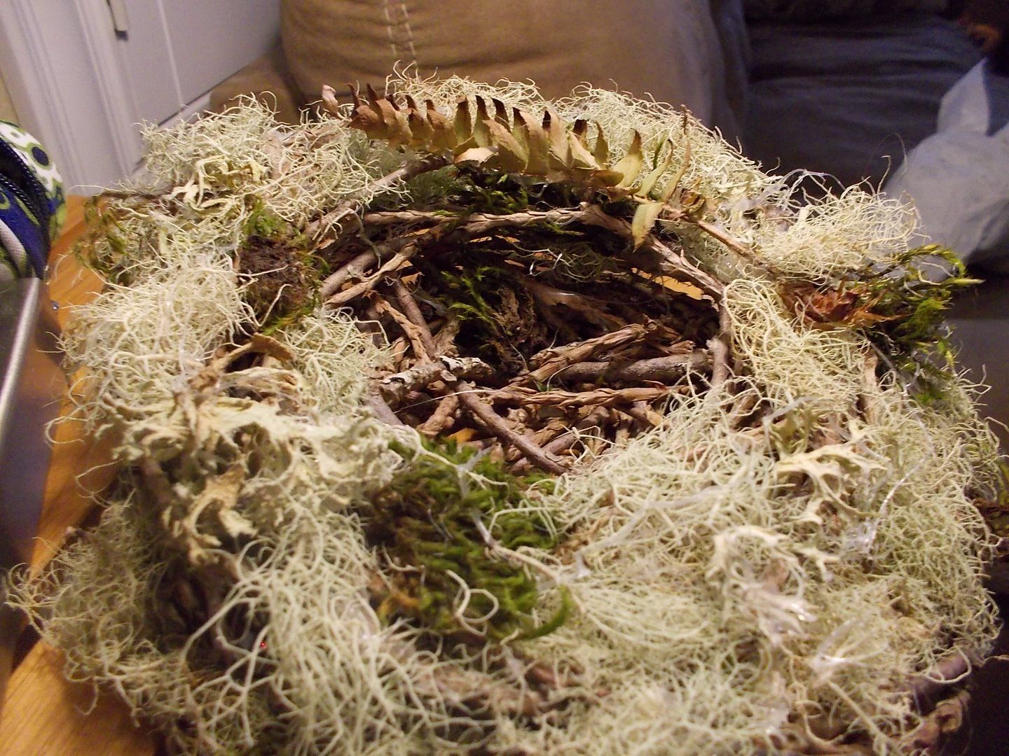 DIY Birds Nest - Instructables