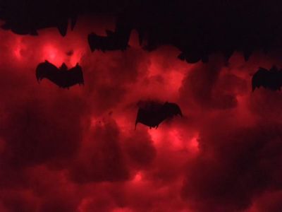 Stranger Things: Red Skies With Bats : 7 Steps (with Pictures ...