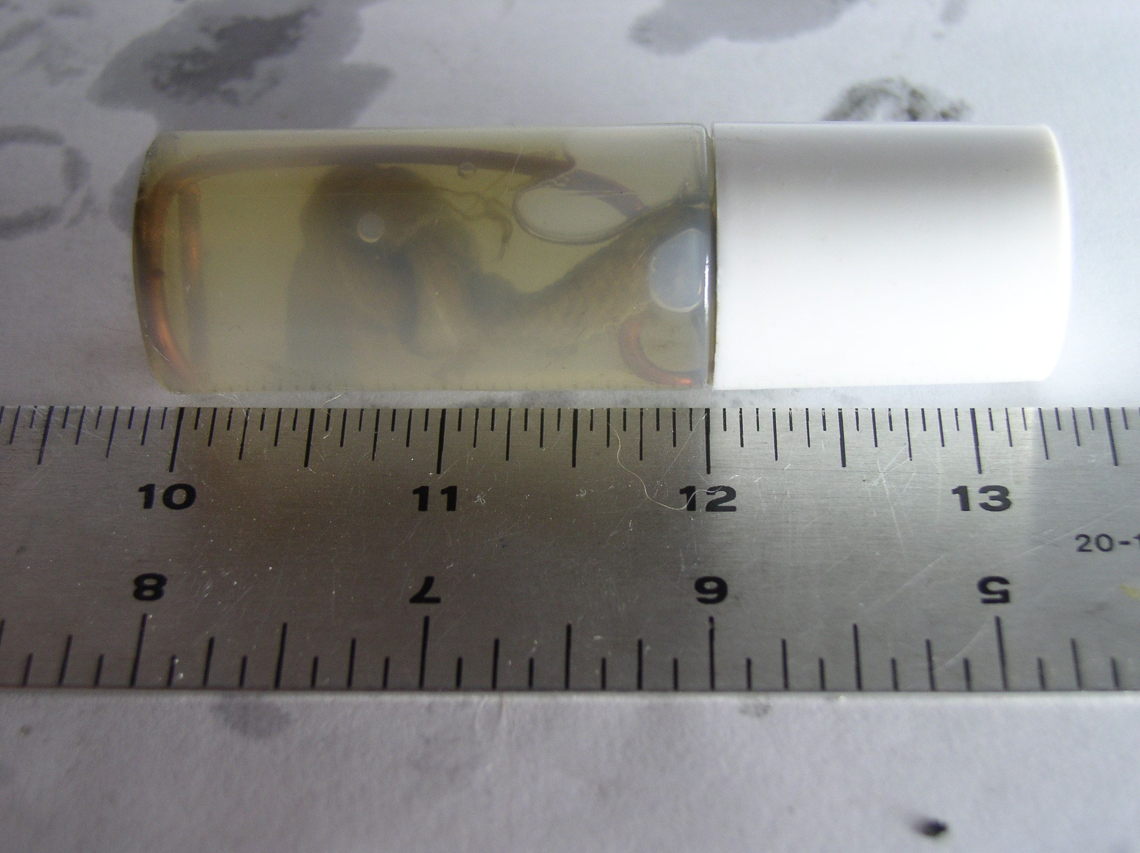 Pocket-Size Oil Lamp - Instructables