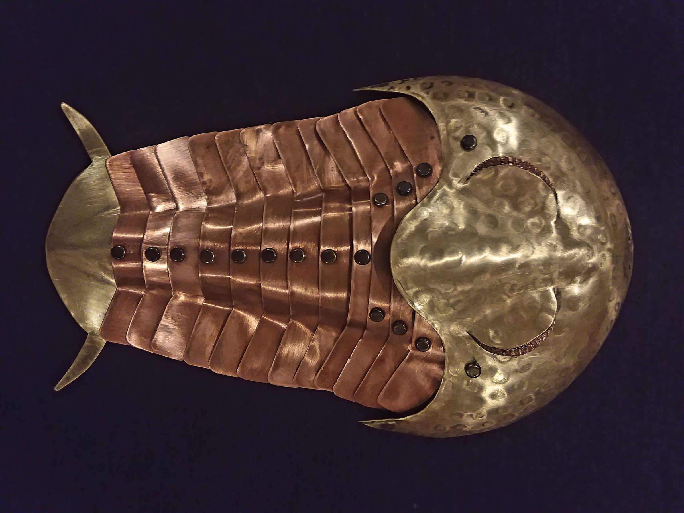 Trilobite Metal Sculpture or Wall Art : 6 Steps (with Pictures ...