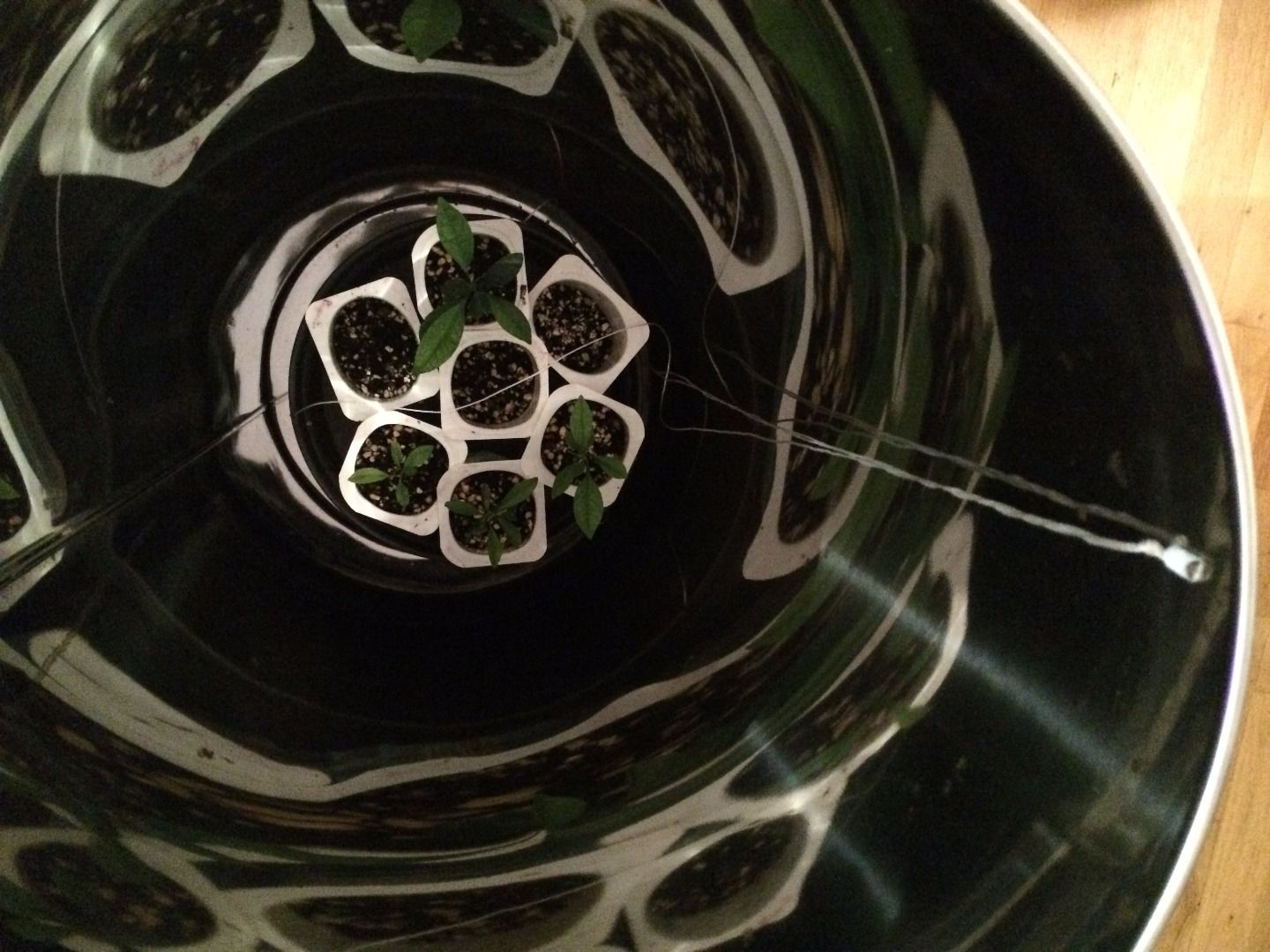 Designer Indoor Plant Grower for Less Than 15$ #upcycle : 6 Steps (with ...