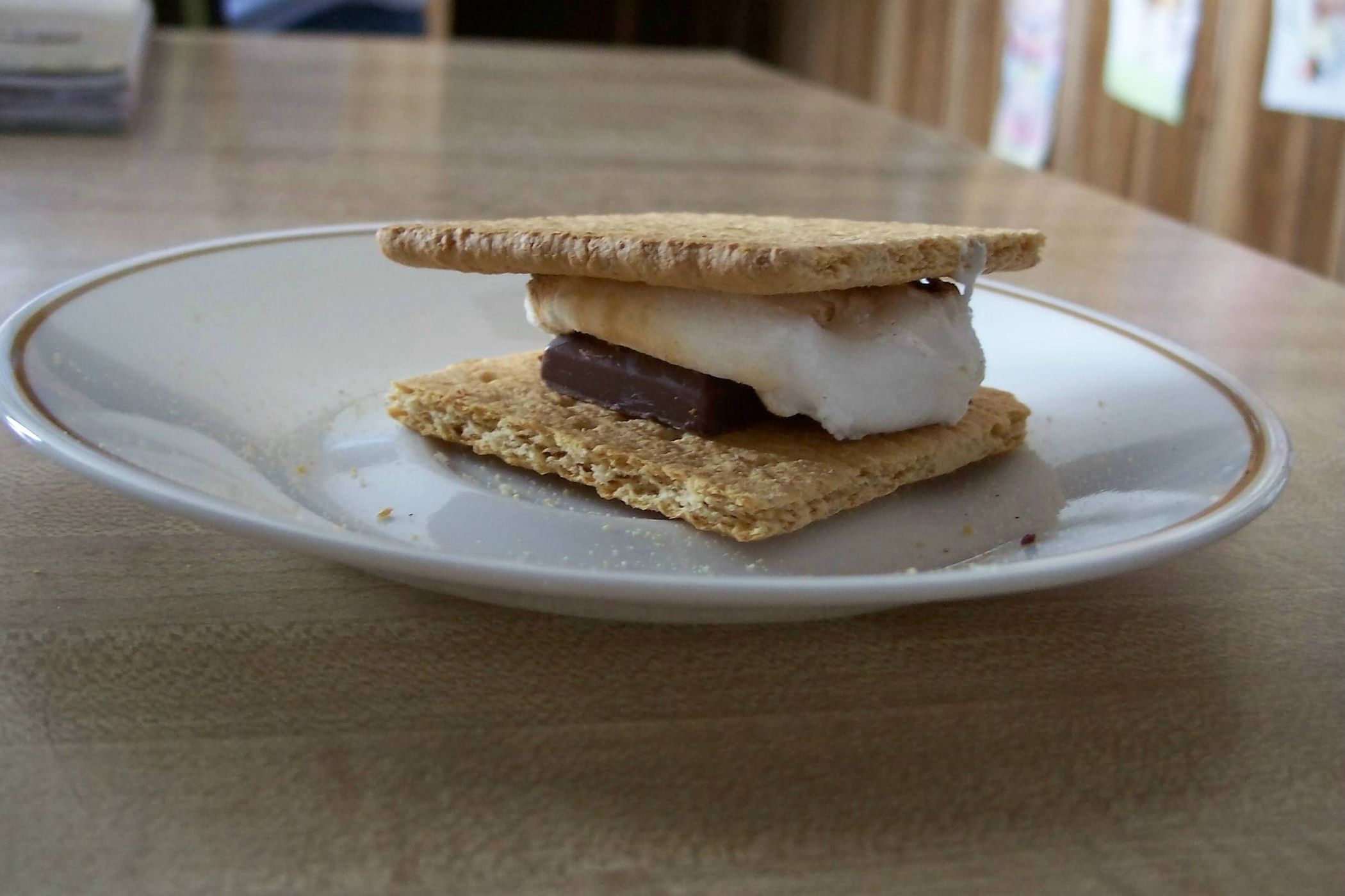 How to Make S'mores (in Three Different Ways) : 9 Steps (with Pictures ...