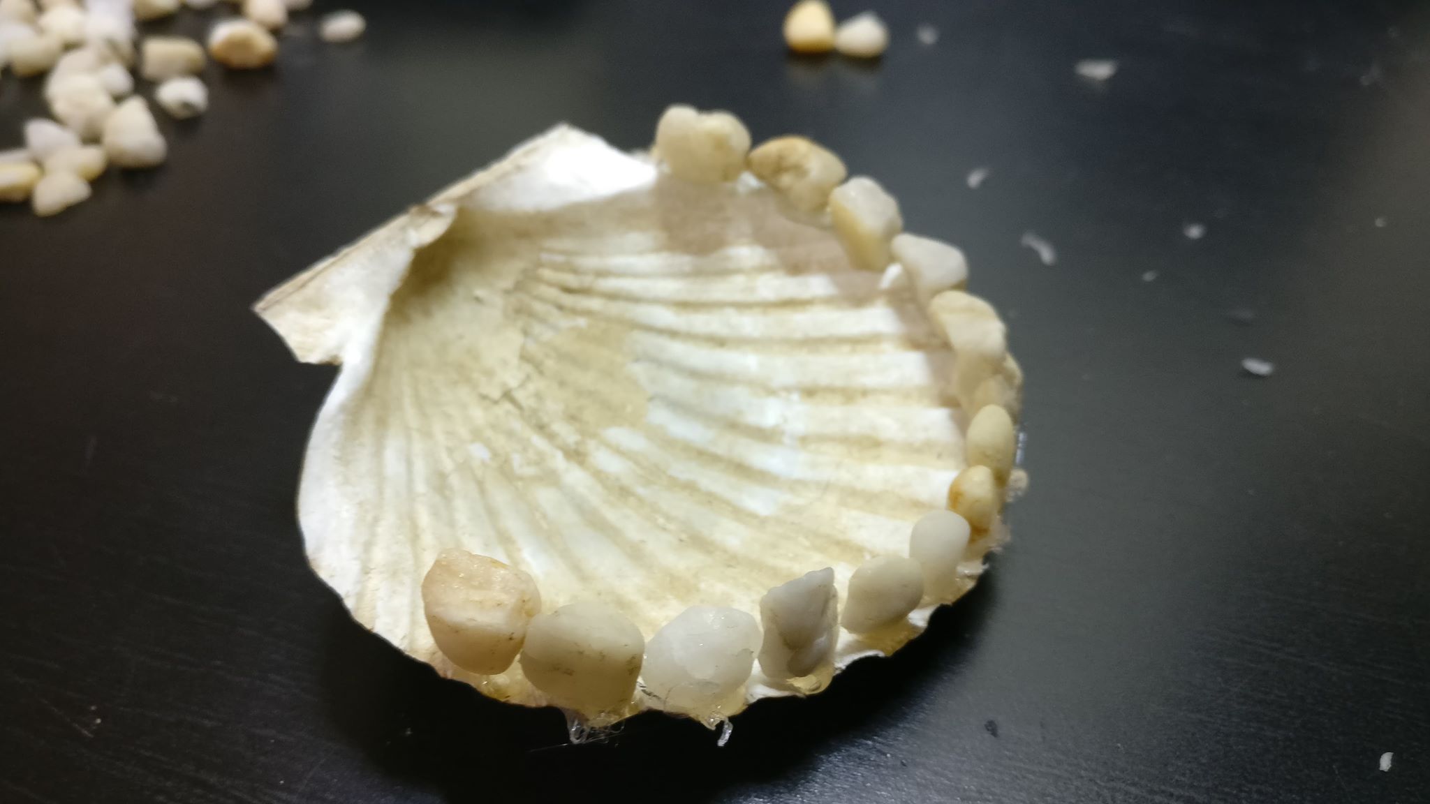 Toothy Shell Mouths : 4 Steps - Instructables
