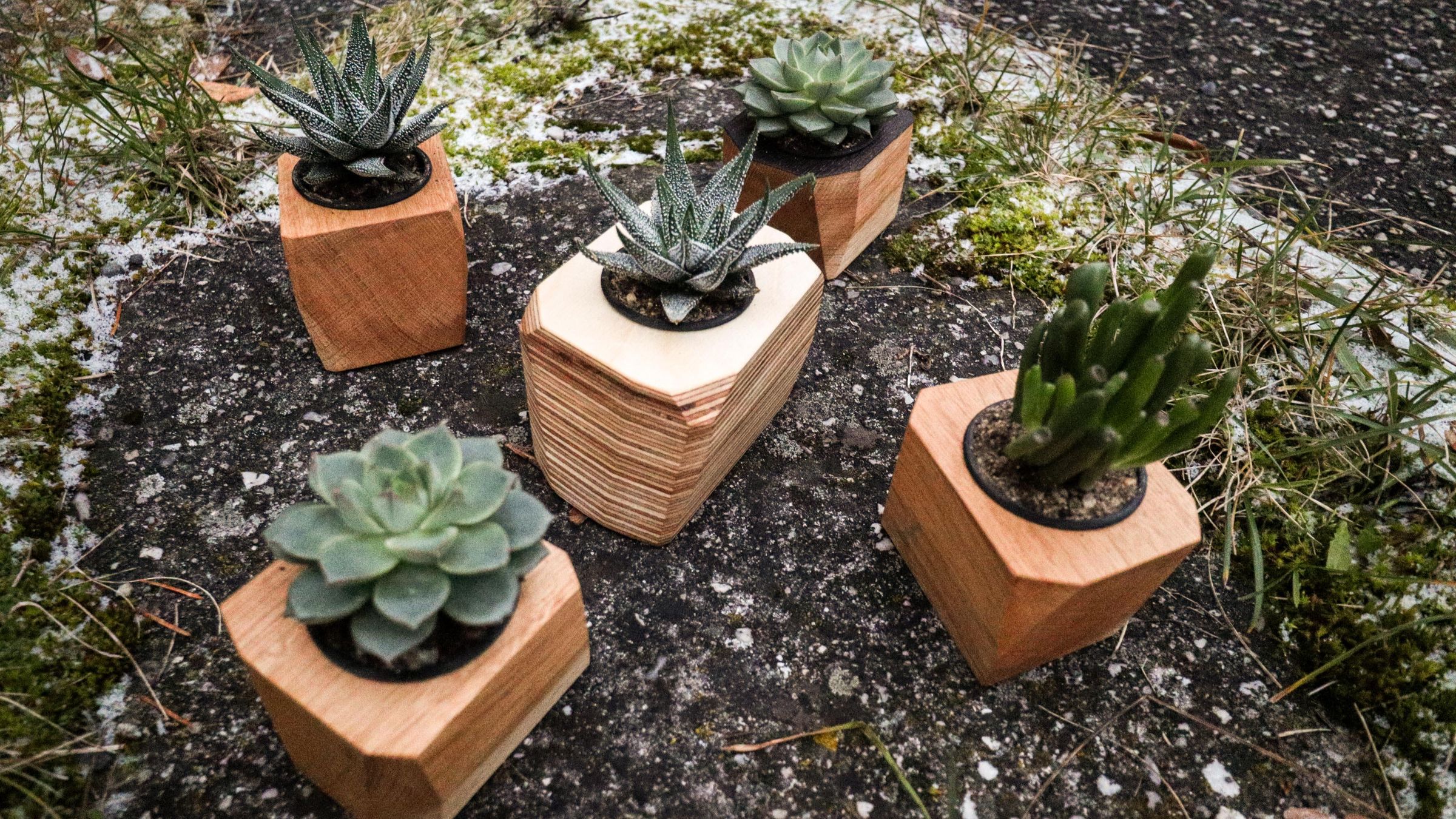DIY Succulent Planter : 7 Steps (with Pictures) - Instructables