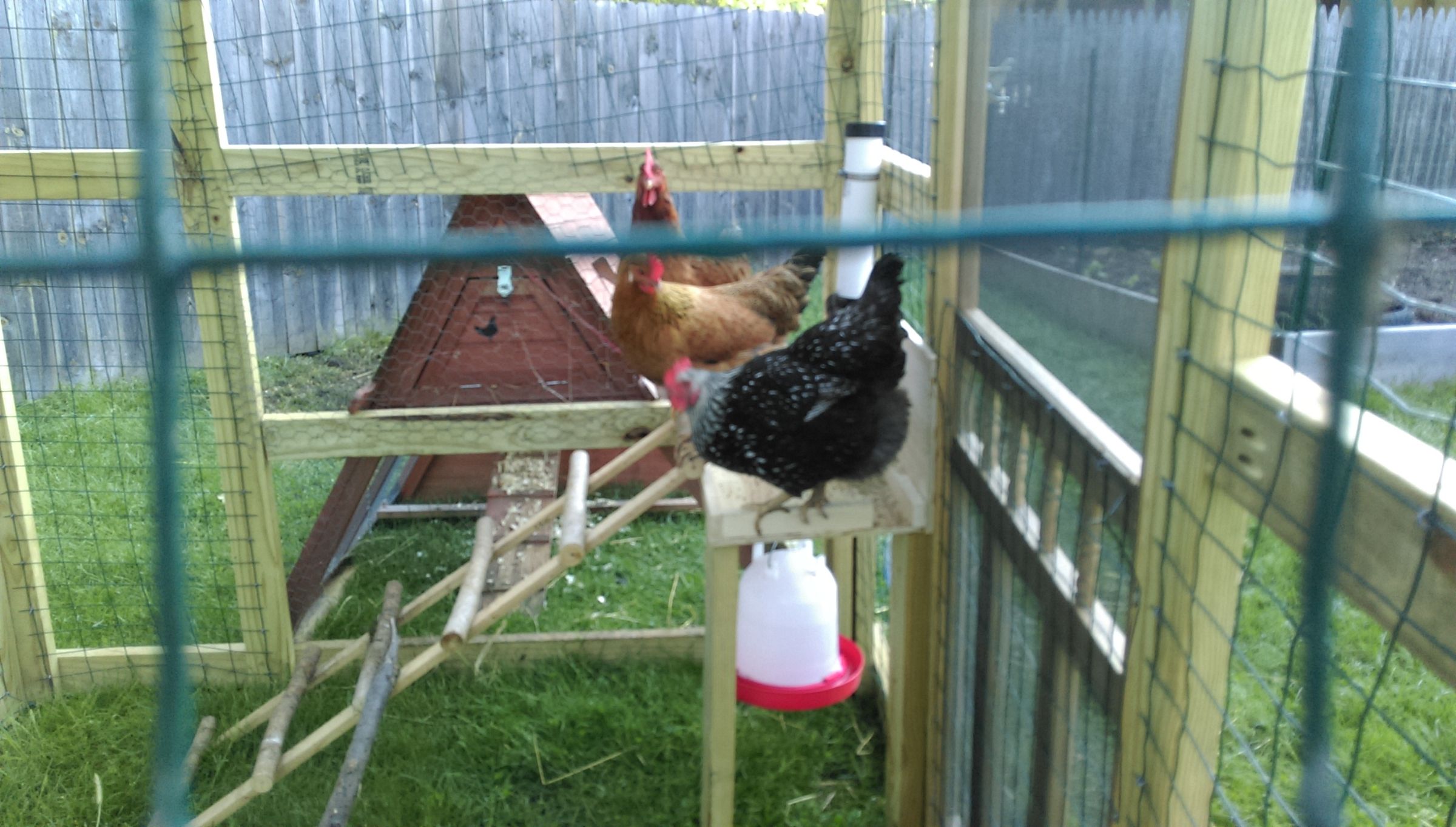 Chicken Feeding Station : 3 Steps (with Pictures) - Instructables