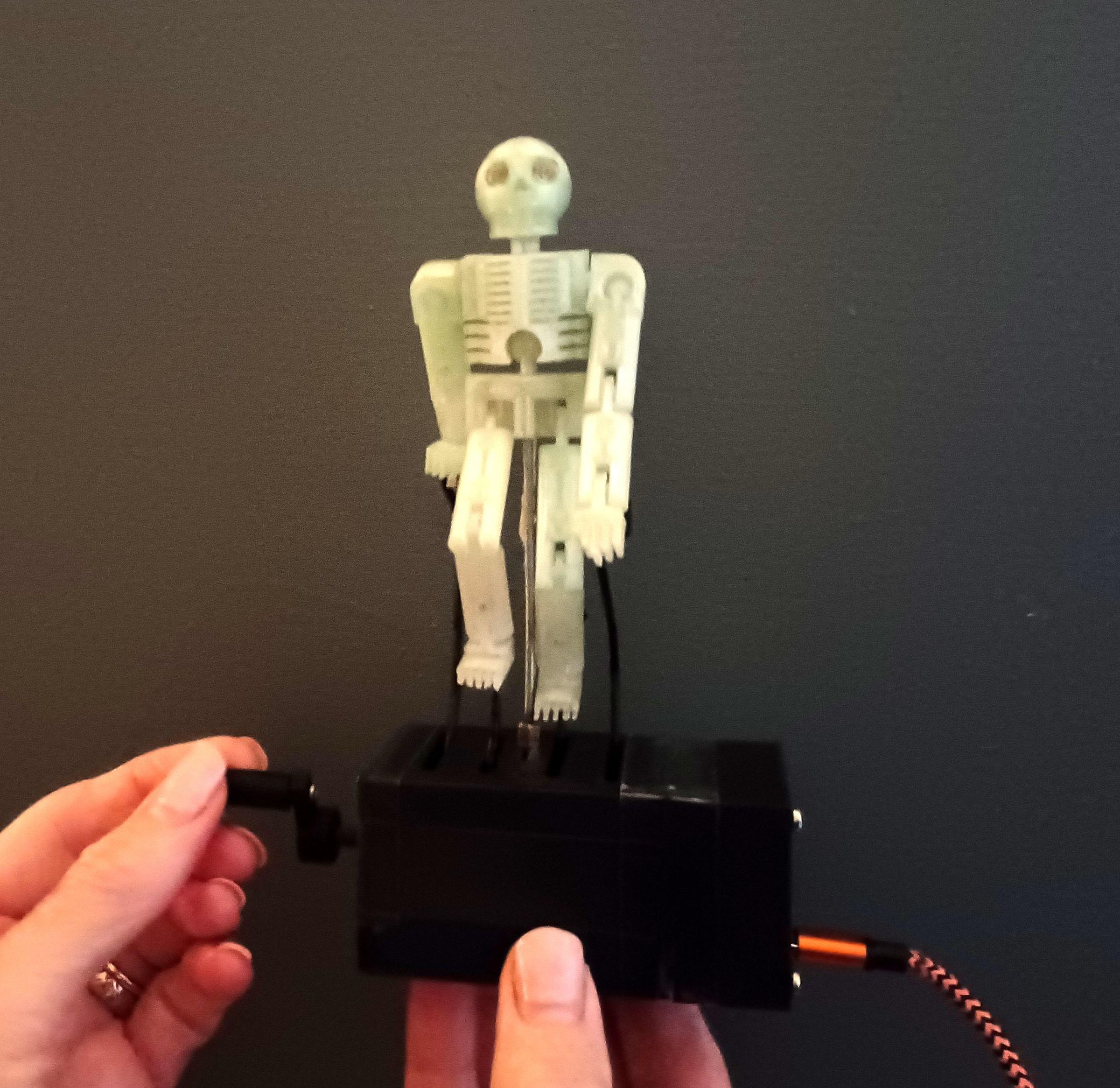 Skeleton Run : 8 Steps (with Pictures) - Instructables