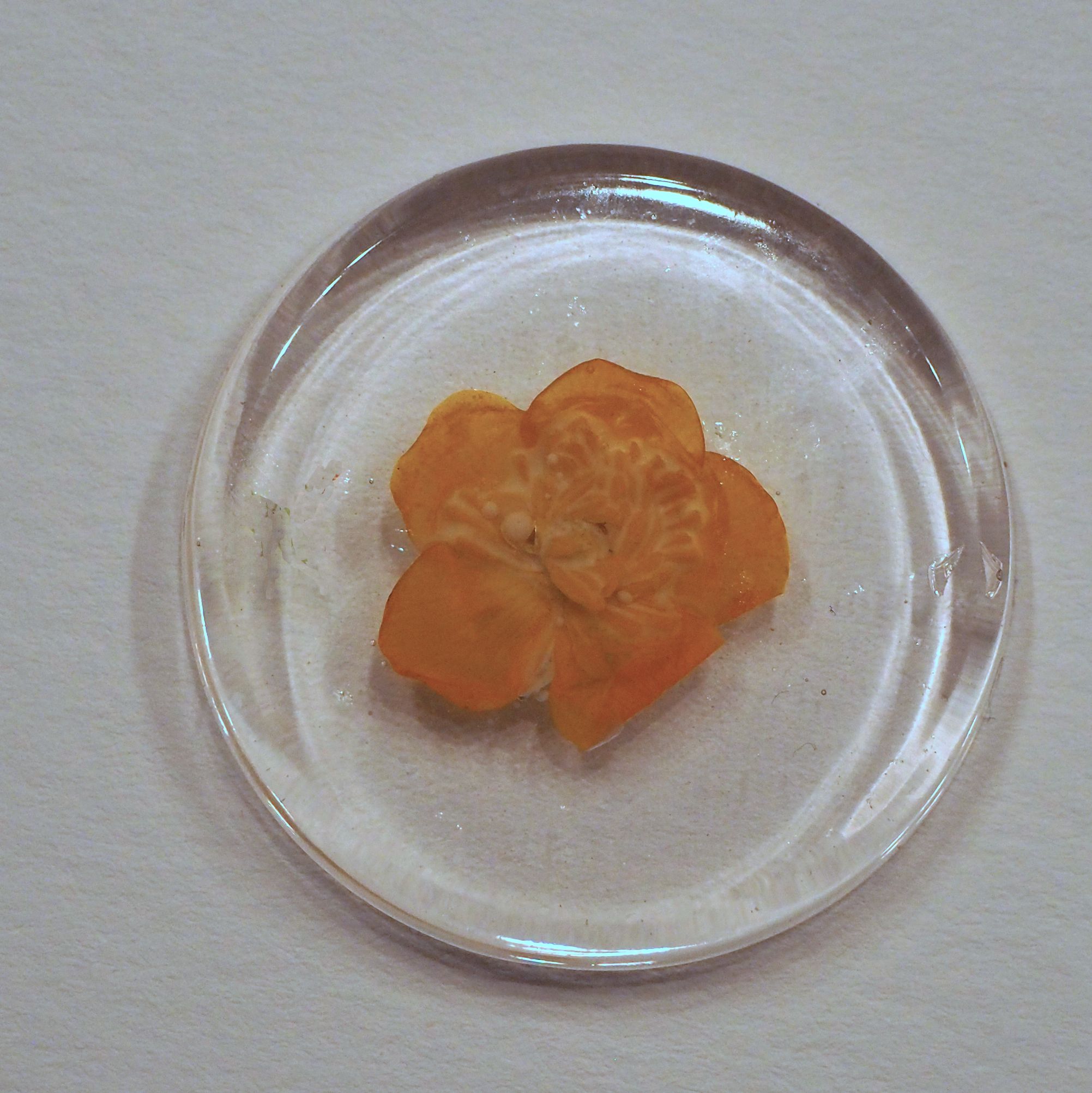 Techniques to Embed Flowers in Resin : 12 Steps (with Pictures ...