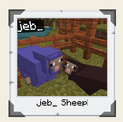 Minecraft Nametag Secrets : 4 Steps - Instructables