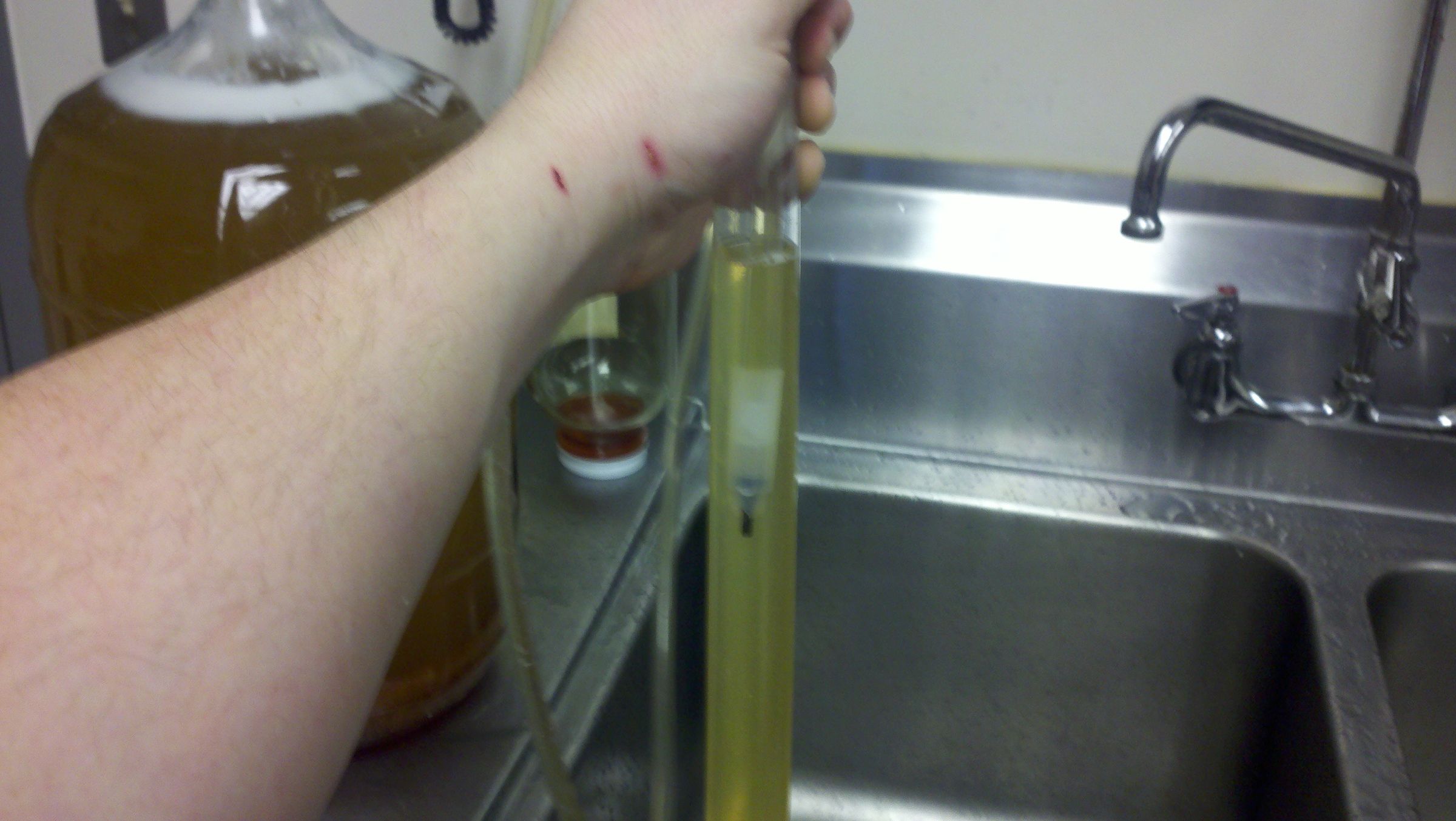 Easy Mead : 10 Steps (with Pictures) - Instructables