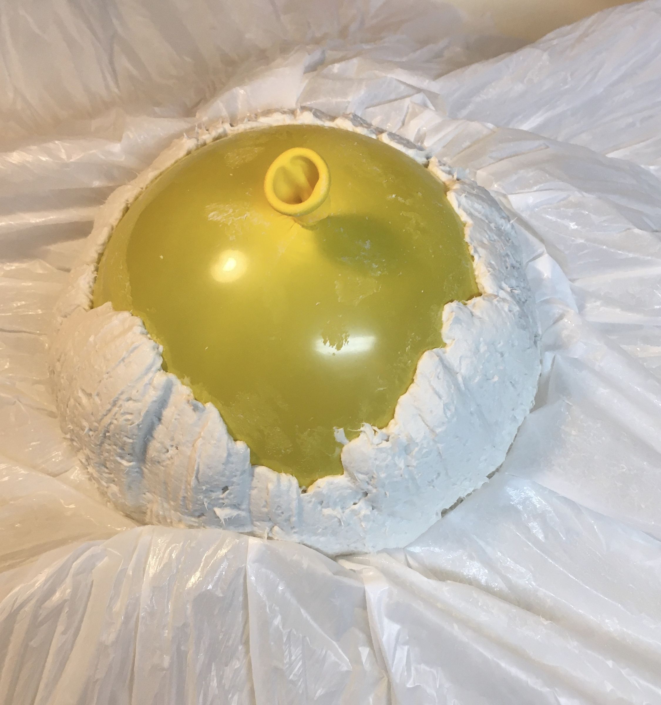 Barnacle Sculptures--and an Experiment With 2 Kinds of Homemade Paper ...