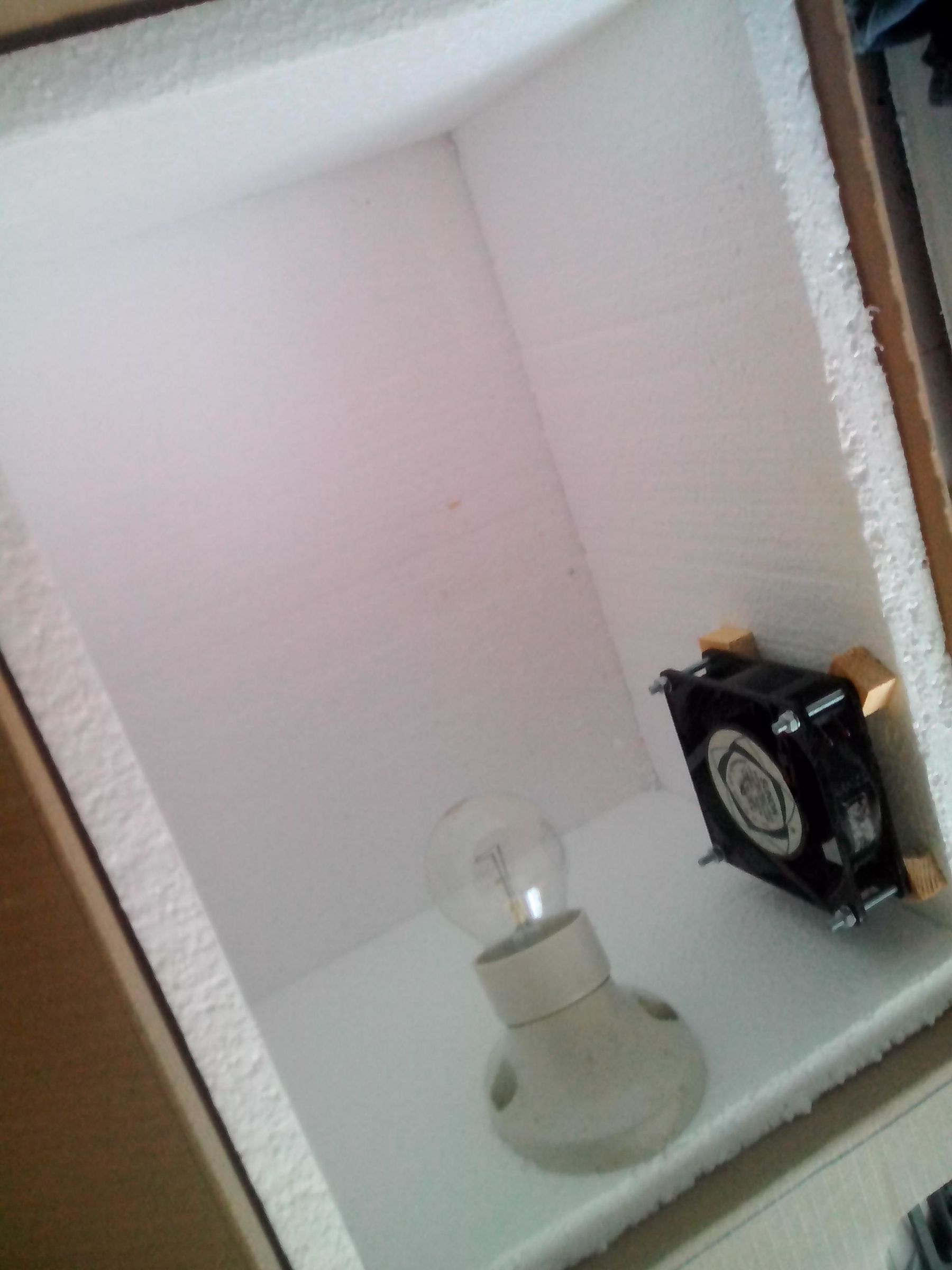 Building a Simple and Cheap Egg Incubator : 5 Steps - Instructables