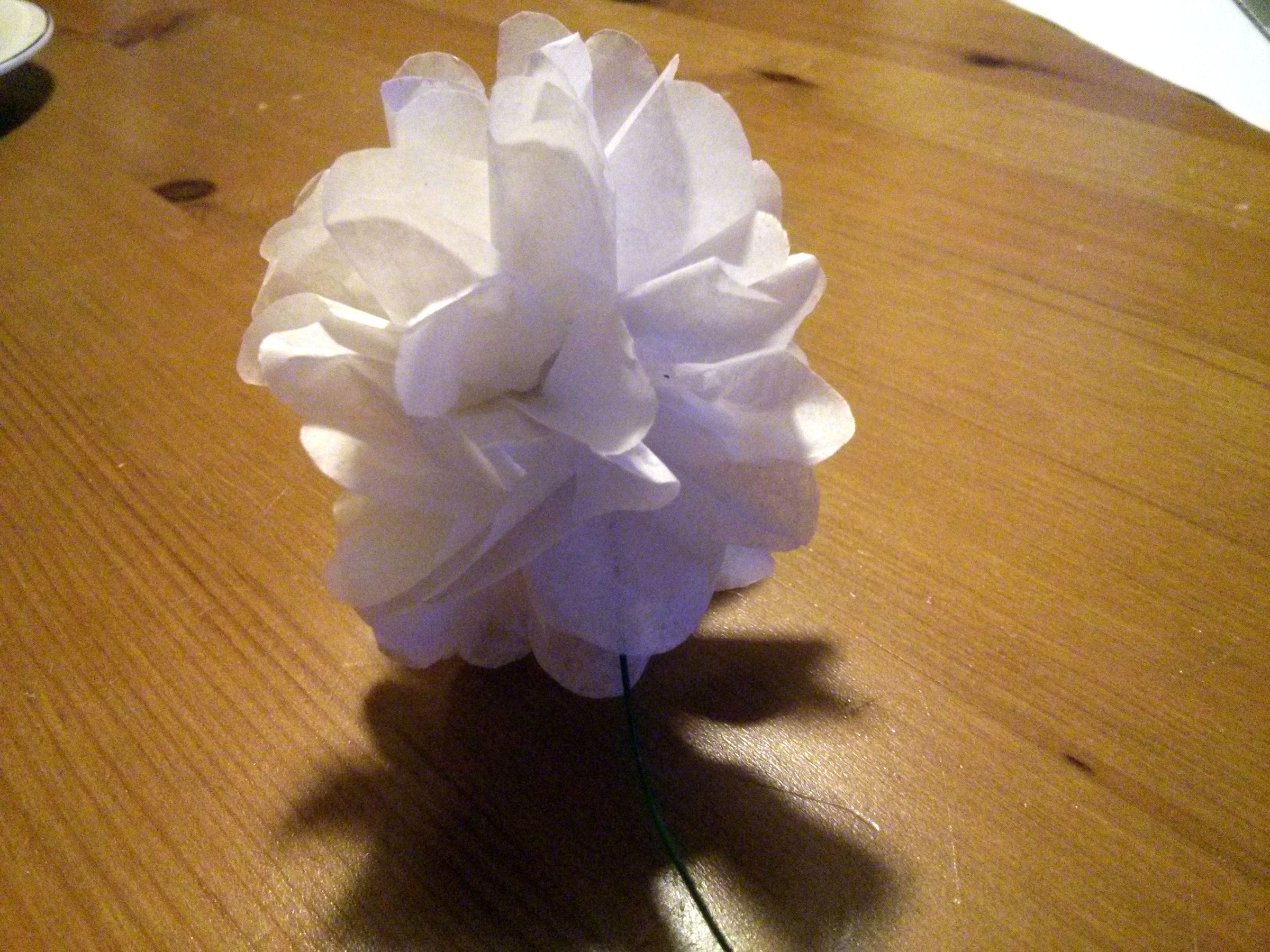 Tissue Paper Peonies : 10 Steps - Instructables