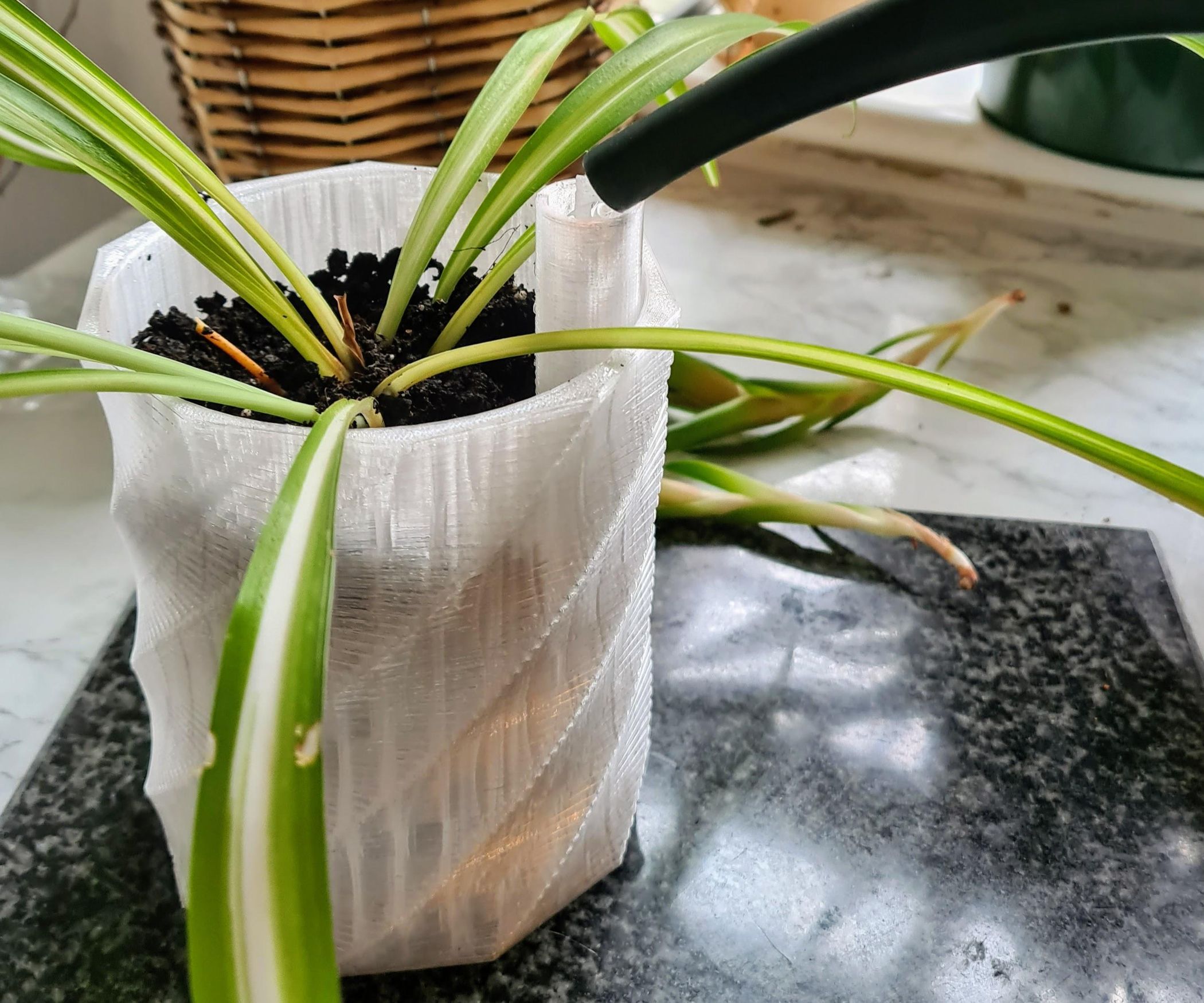 Design Your Own 3D Printable Self Watering Planter (Tinkercad Tutorial ...