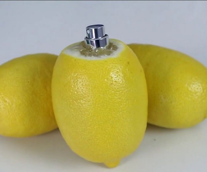 How to Make a Lemon and Lime Citrus Sprayers : 4 Steps (with Pictures ...