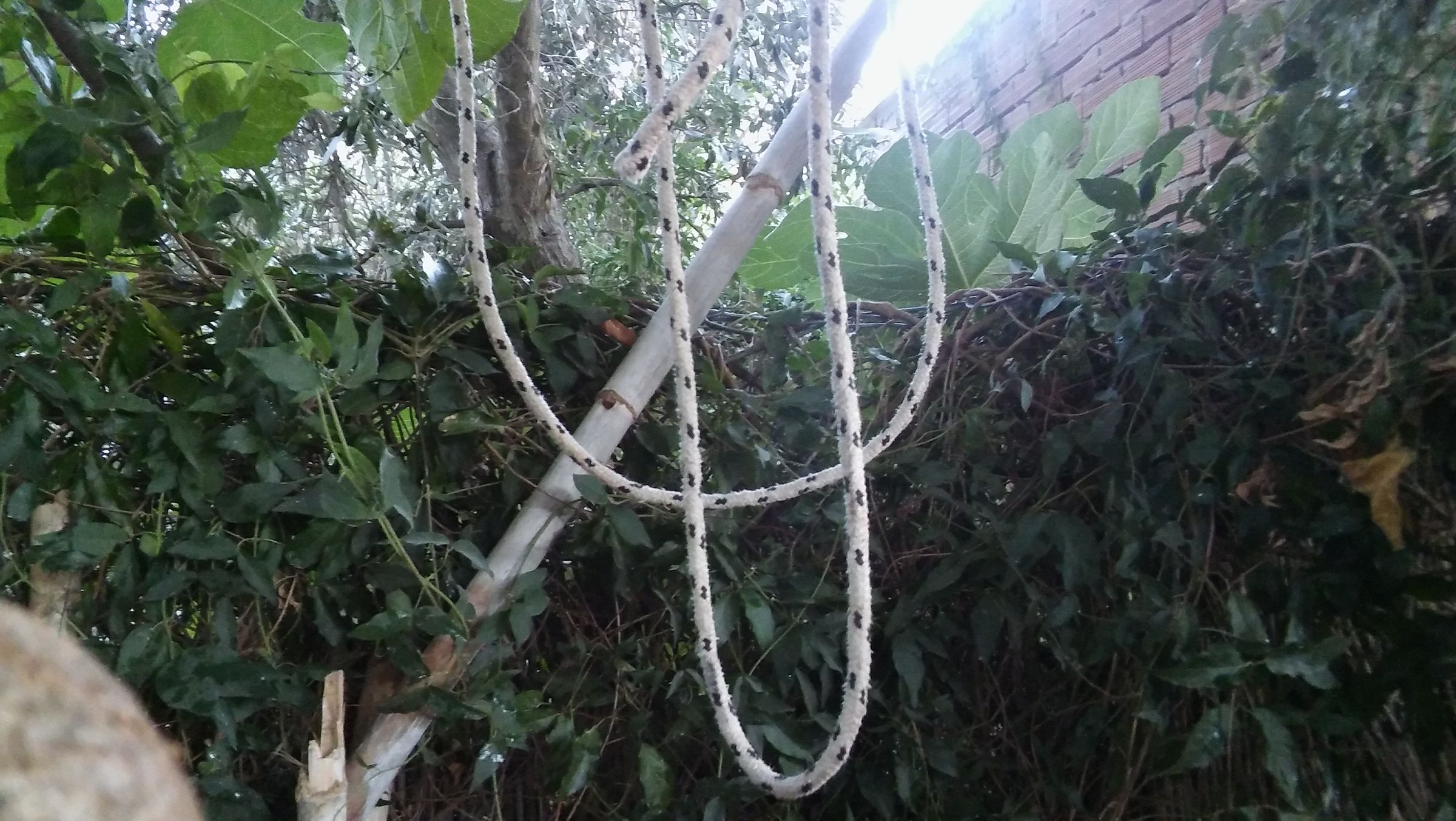 Tree-house Elevator : 3 Steps (with Pictures) - Instructables