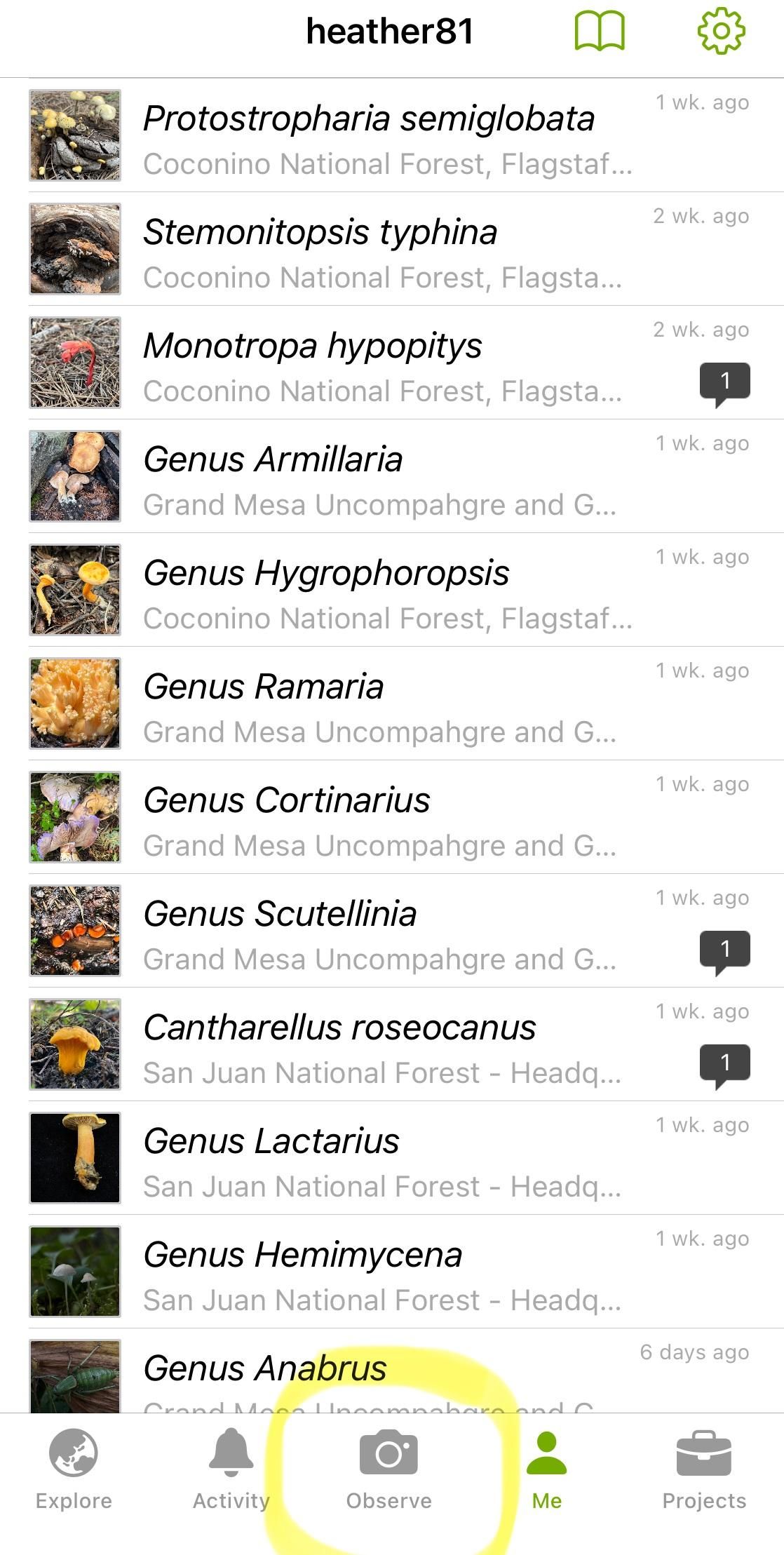 “Discover” a New Mushroom Species : 5 Steps (with Pictures) - Instructables