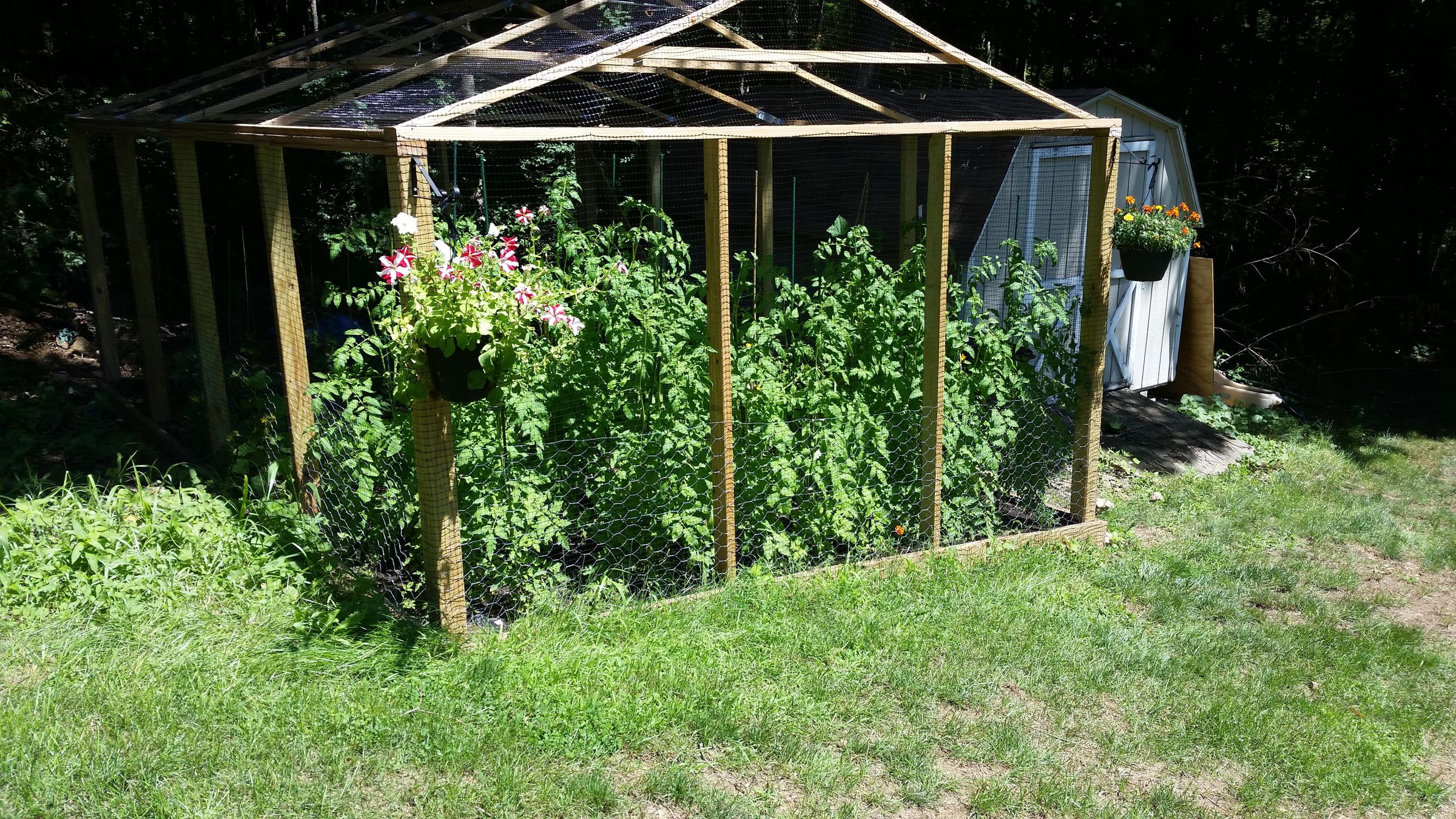 Protected Garden Enclosure : 8 Steps (with Pictures) - Instructables