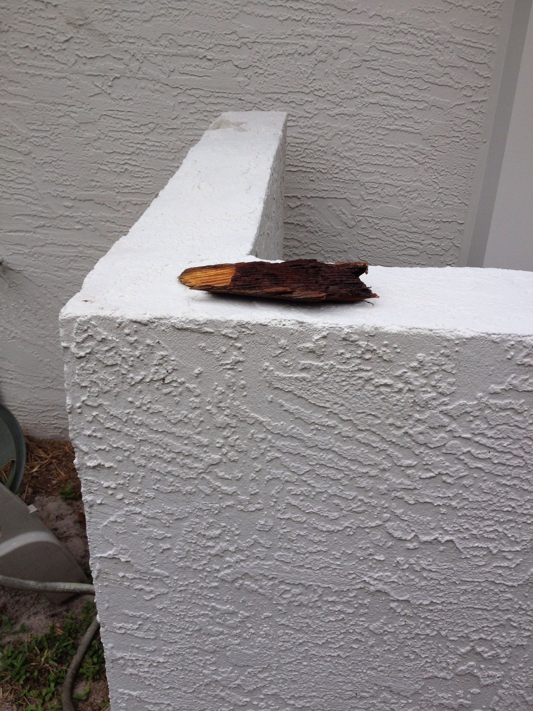 Making a Reptile Climbing Stick and Hiding Stick : 5 Steps - Instructables