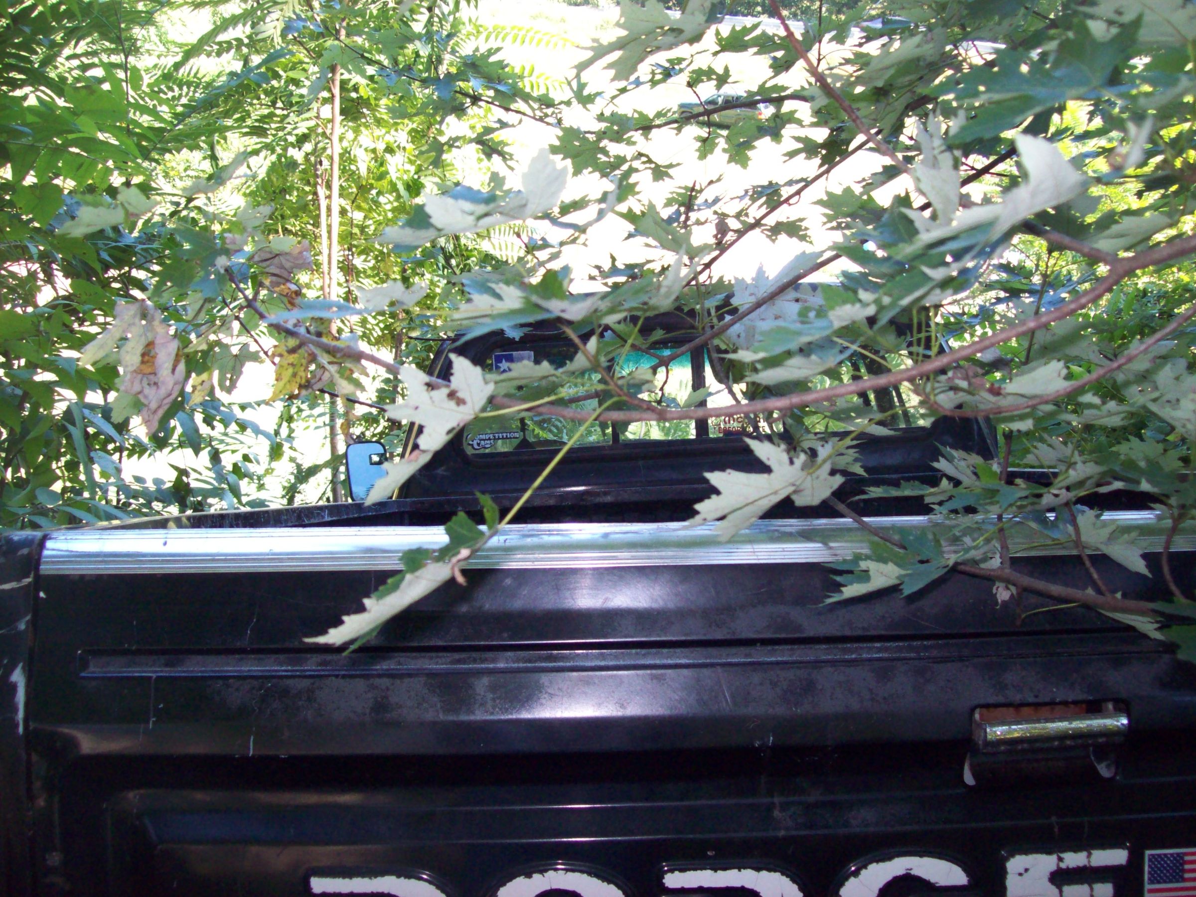 Redneck Weedeater Aftermath - Instructables