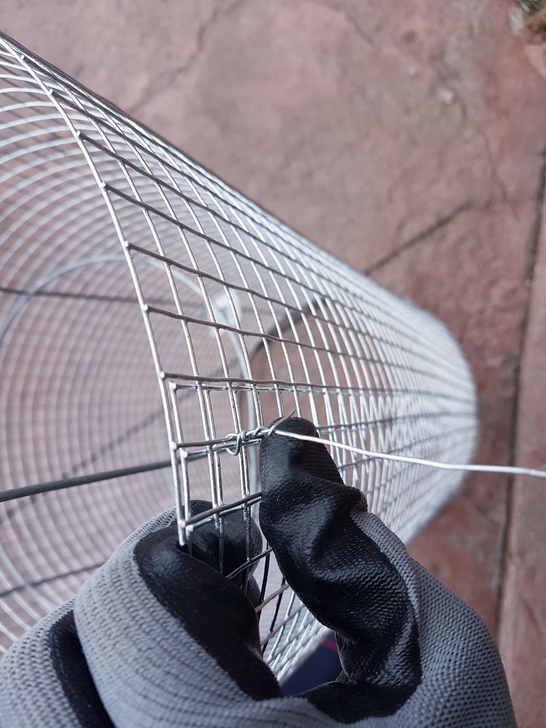 Vegetable / Fruit Plant Cage : 8 Steps (with Pictures) - Instructables