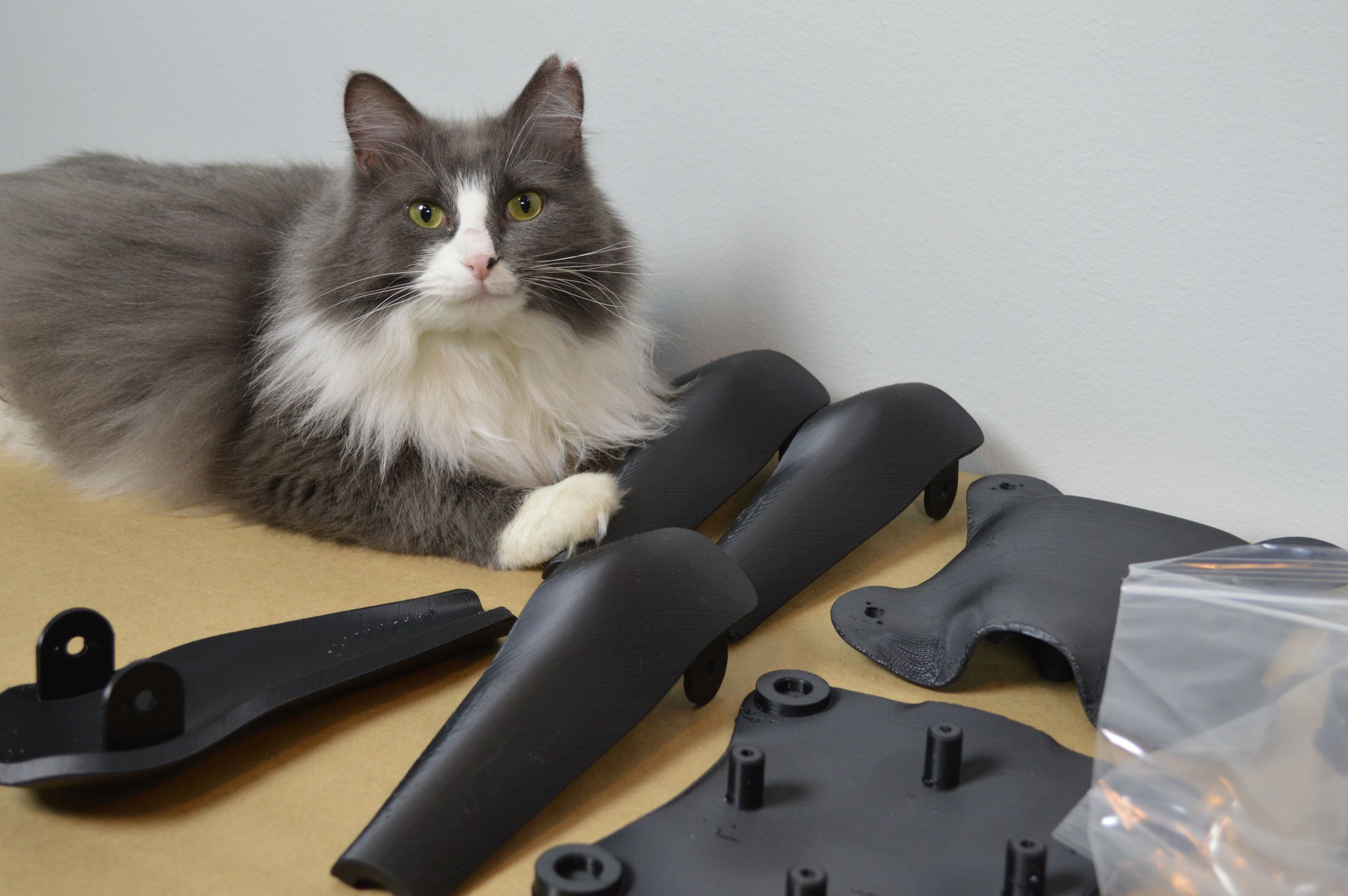 A 3D Printed Quadruped Robot : 31 Steps (with Pictures) - Instructables