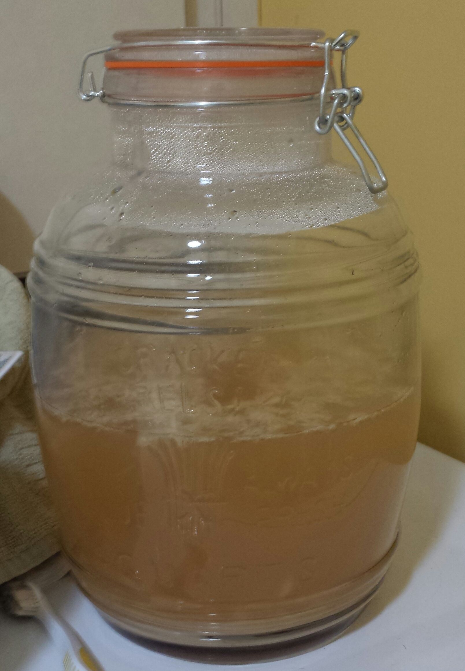 Homemade Rustic Root Beer : 3 Steps (with Pictures) - Instructables