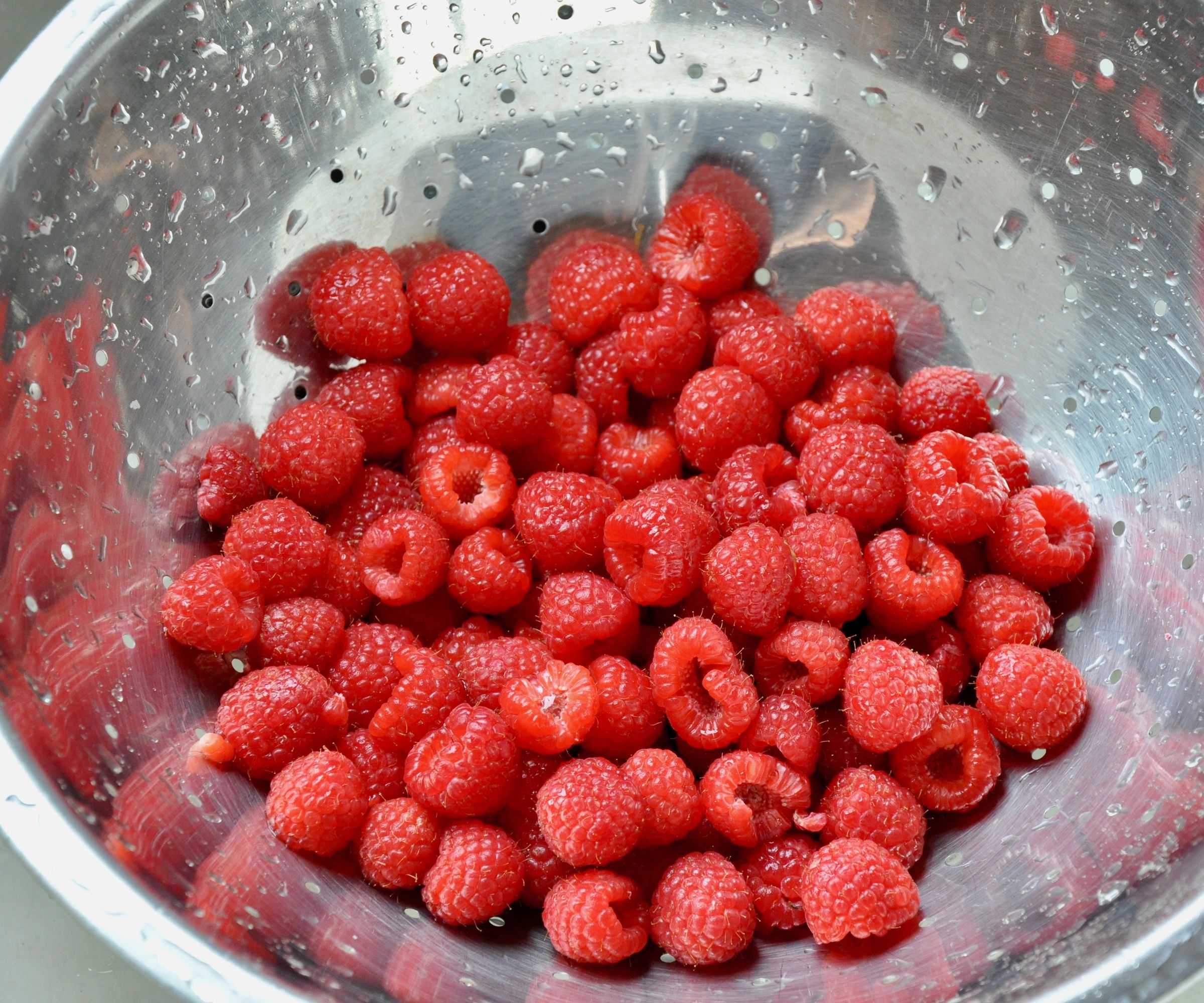 Raspberry Bark : 6 Steps (with Pictures) - Instructables