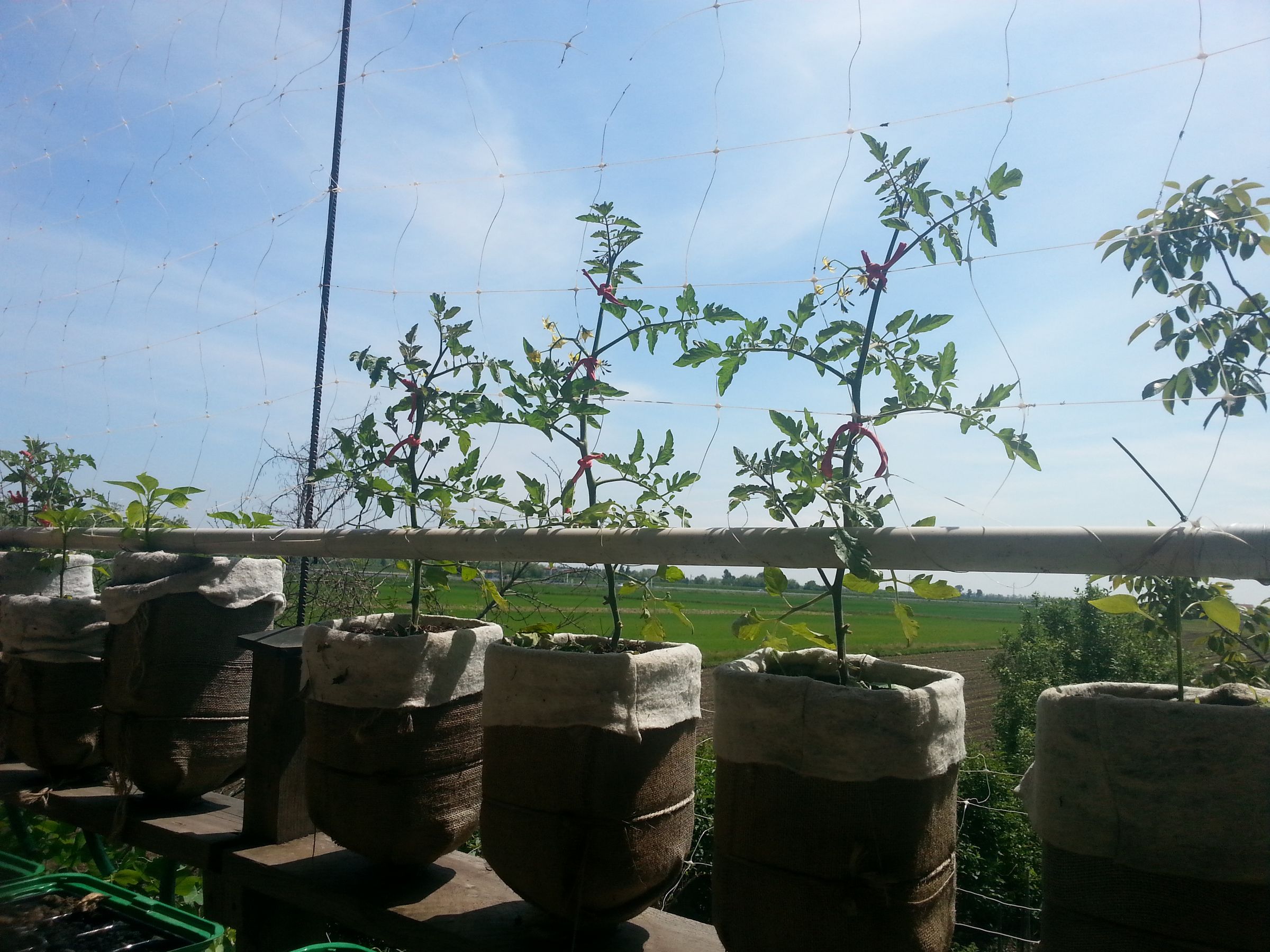 Nook Garden - Self Watering System (+ April Update) : 8 Steps (with ...