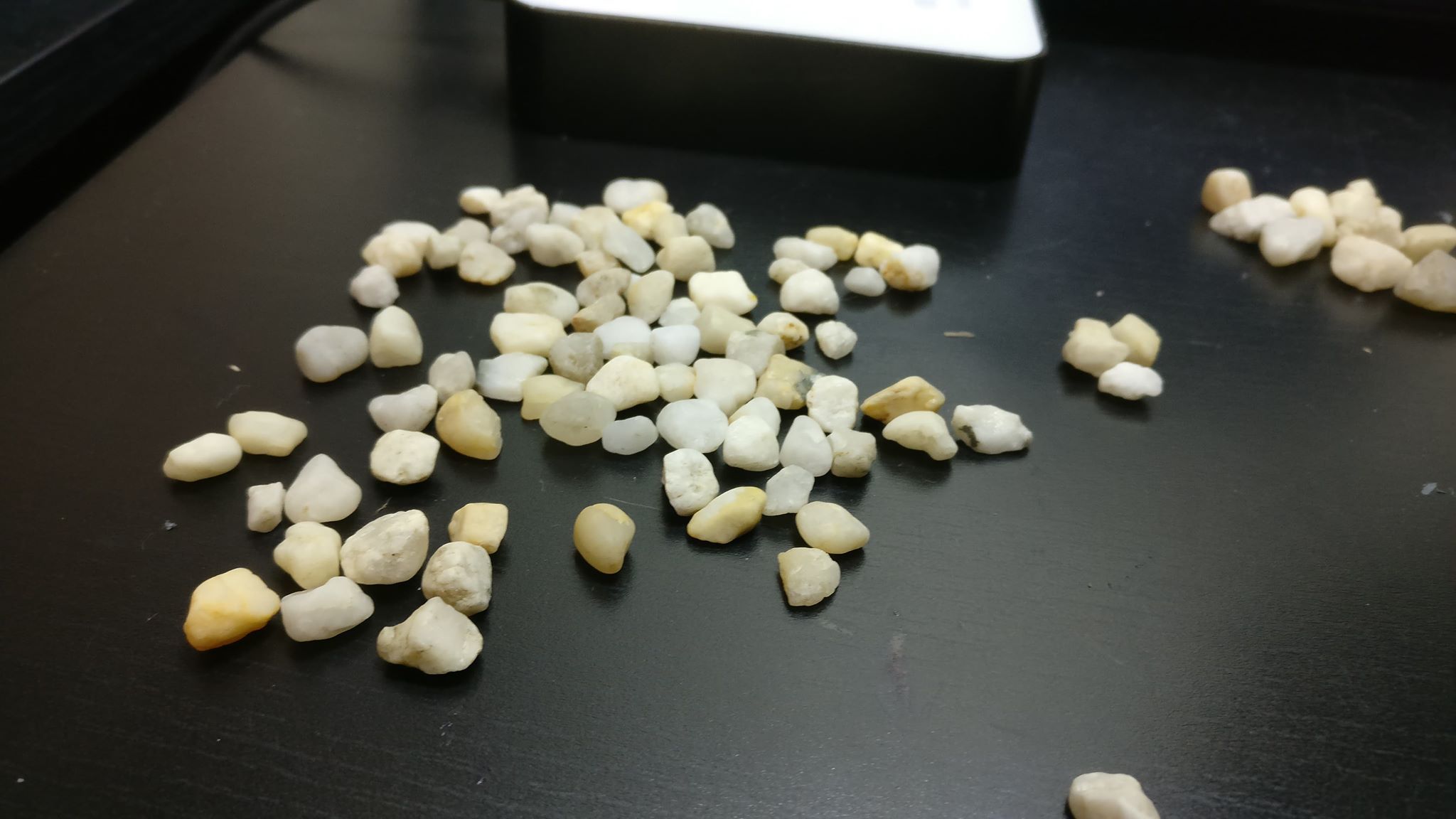 Toothy Shell Mouths : 4 Steps - Instructables