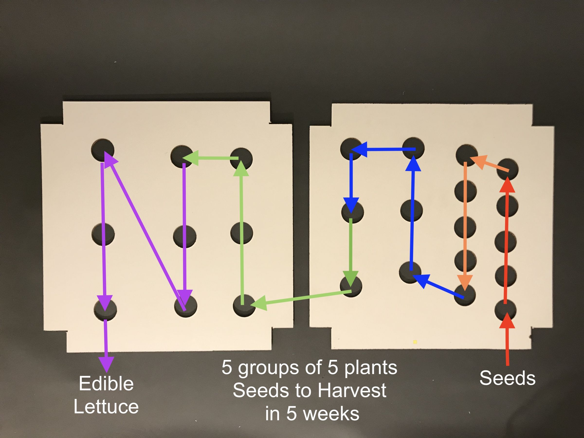 Fogponics/Aeroponics in Microgravity : 6 Steps (with Pictures ...