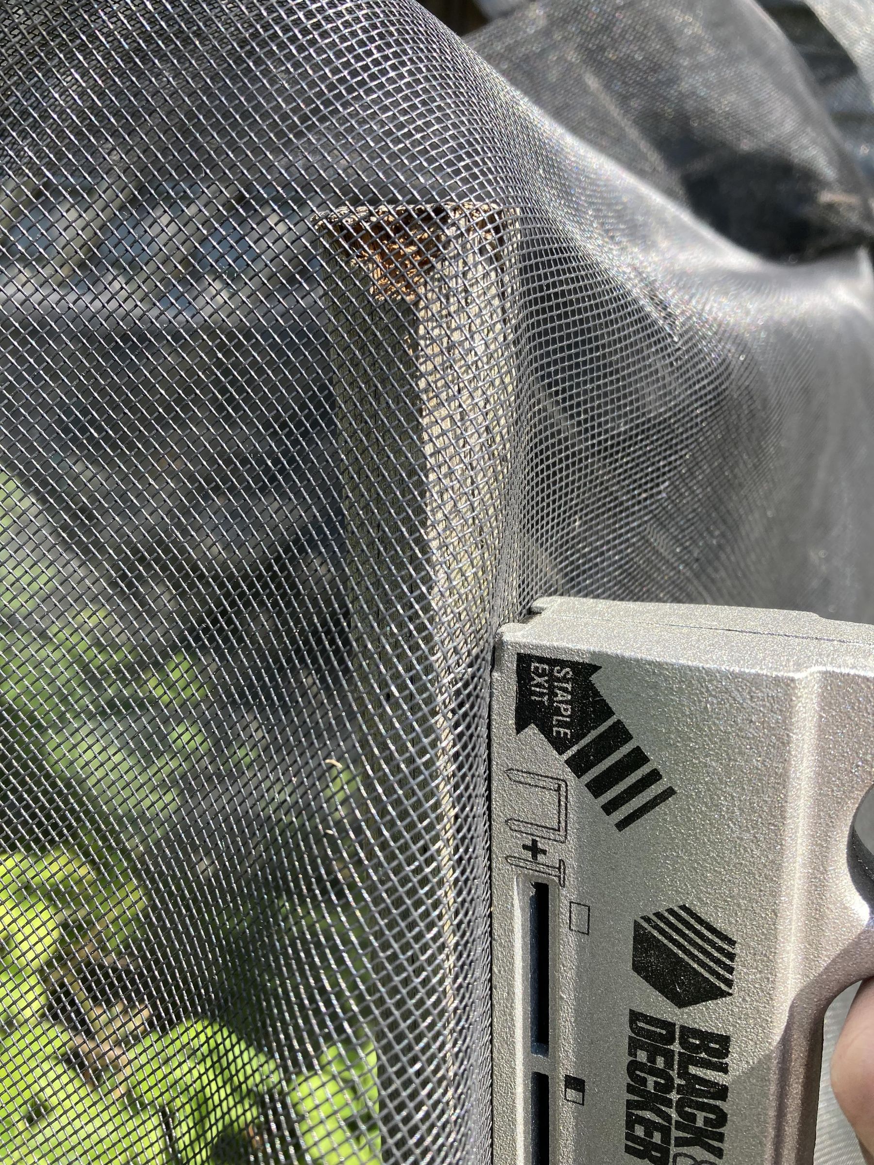 Blueberry Cage : 4 Steps (with Pictures) - Instructables