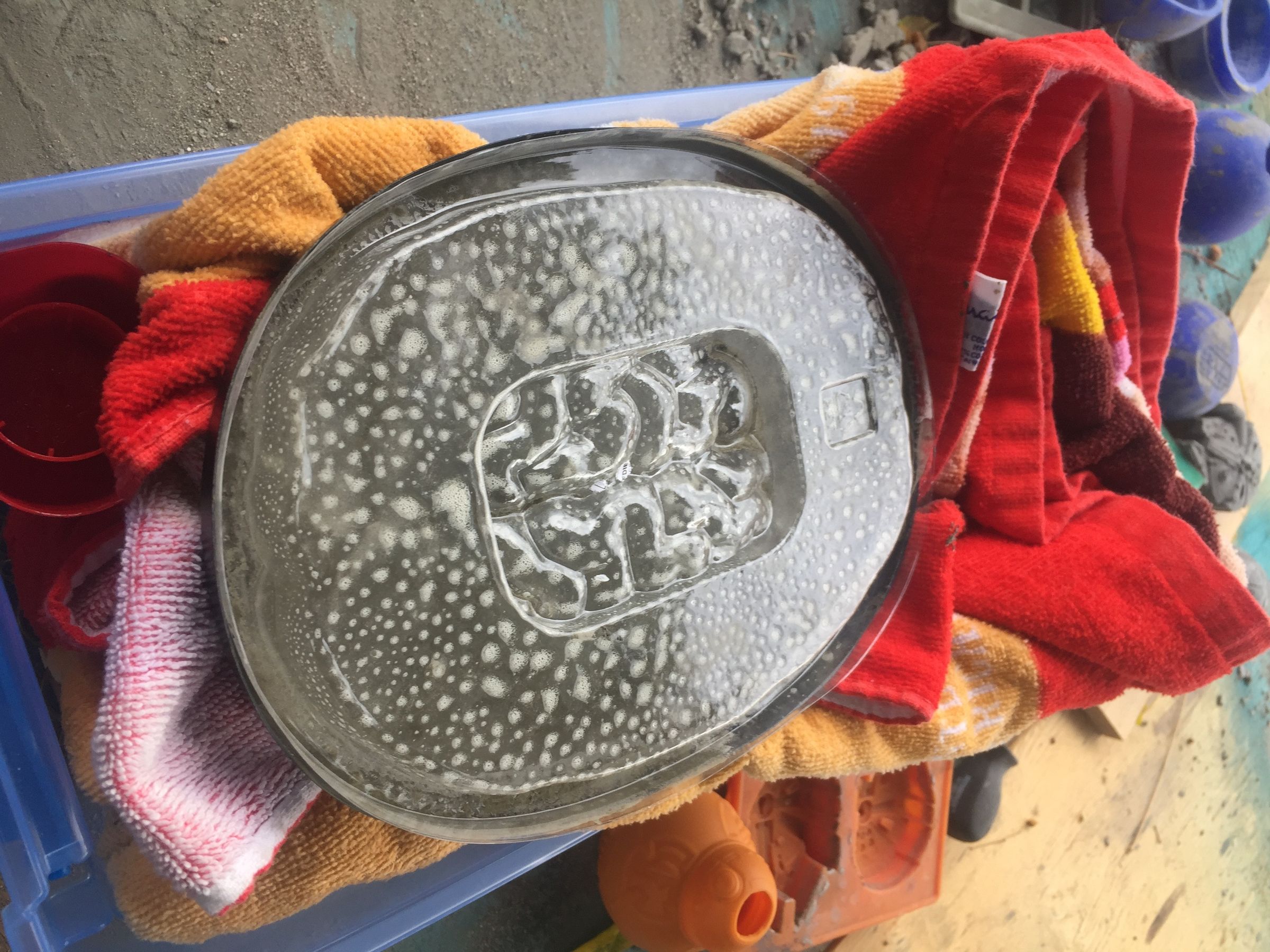 Concrete Brain Halloween Decoration ($10) : 5 Steps (with Pictures ...