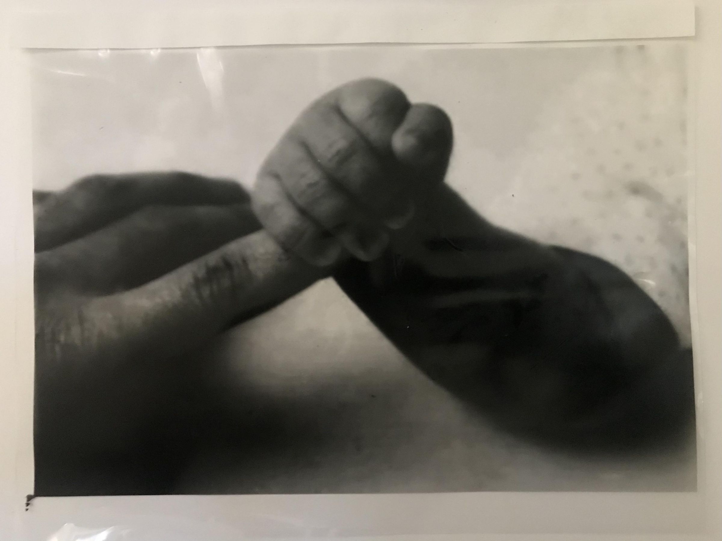 Chlorophyll Prints : 3 Steps - Instructables