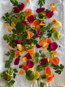 Home-made Pasta Laminated With Edible Flowers and Herbs : 8 Steps (with ...