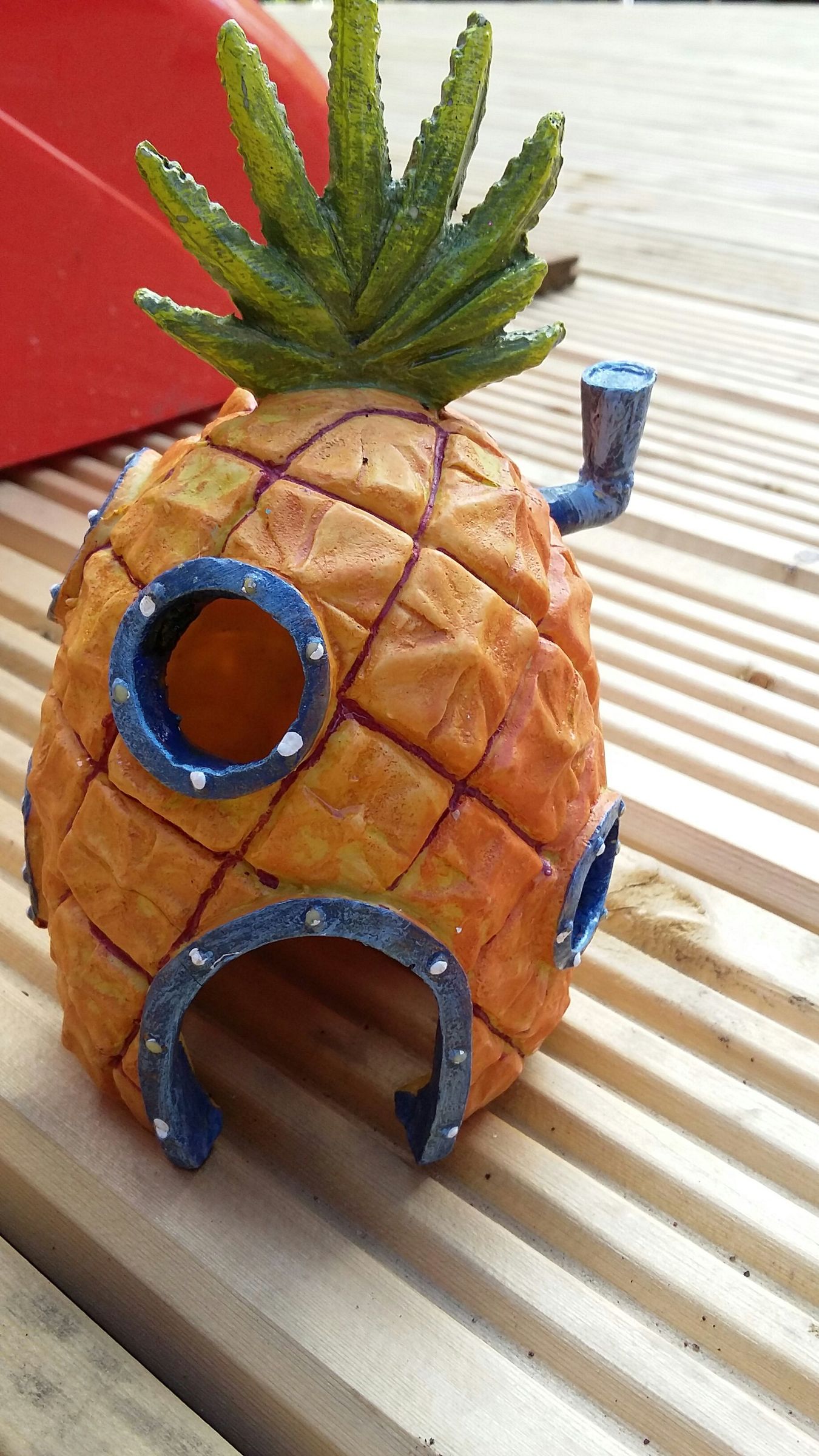 Snail Care and House : 7 Steps (with Pictures) - Instructables