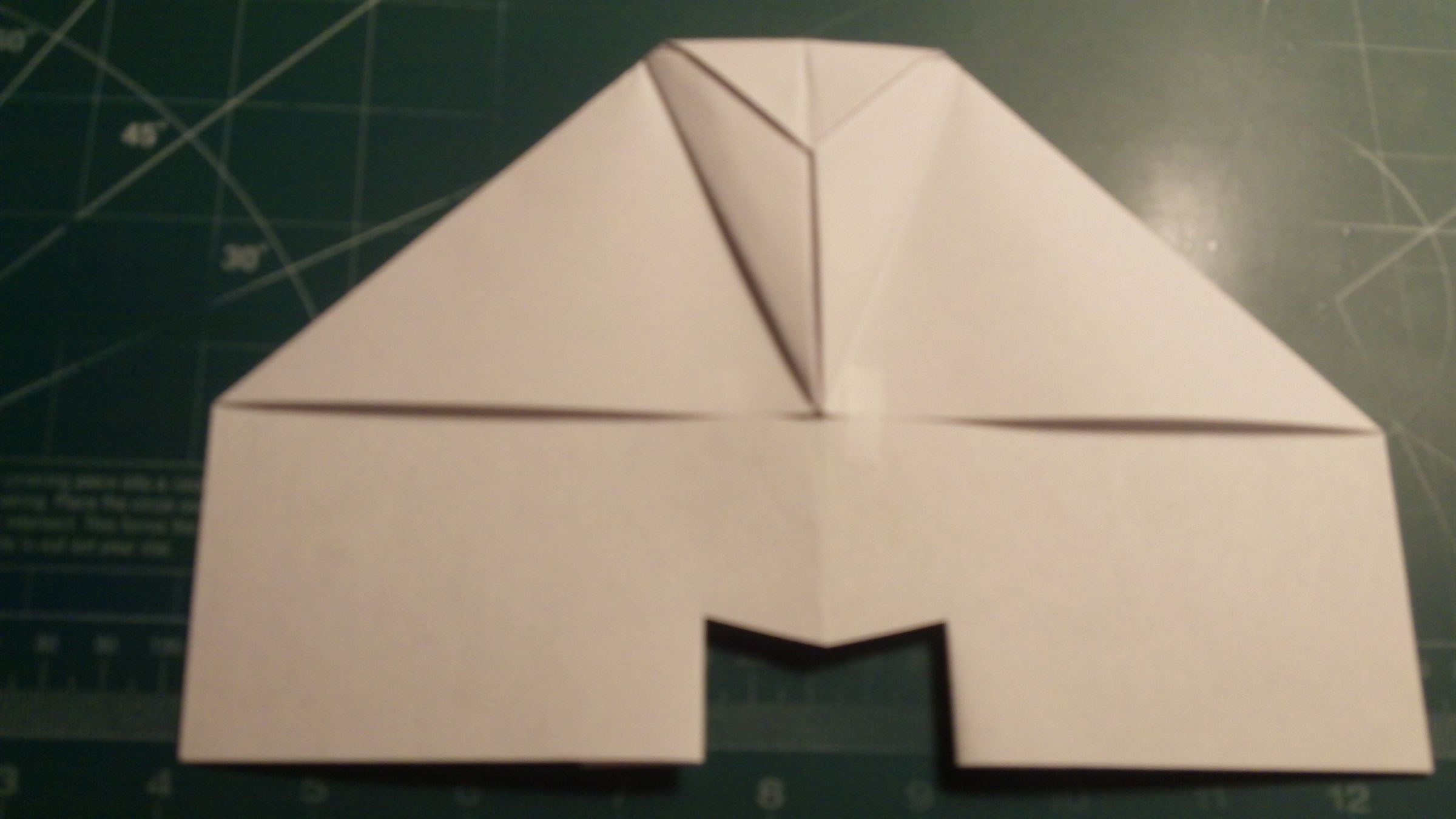 How to Make the Buzzard Paper Airplane : 8 Steps - Instructables