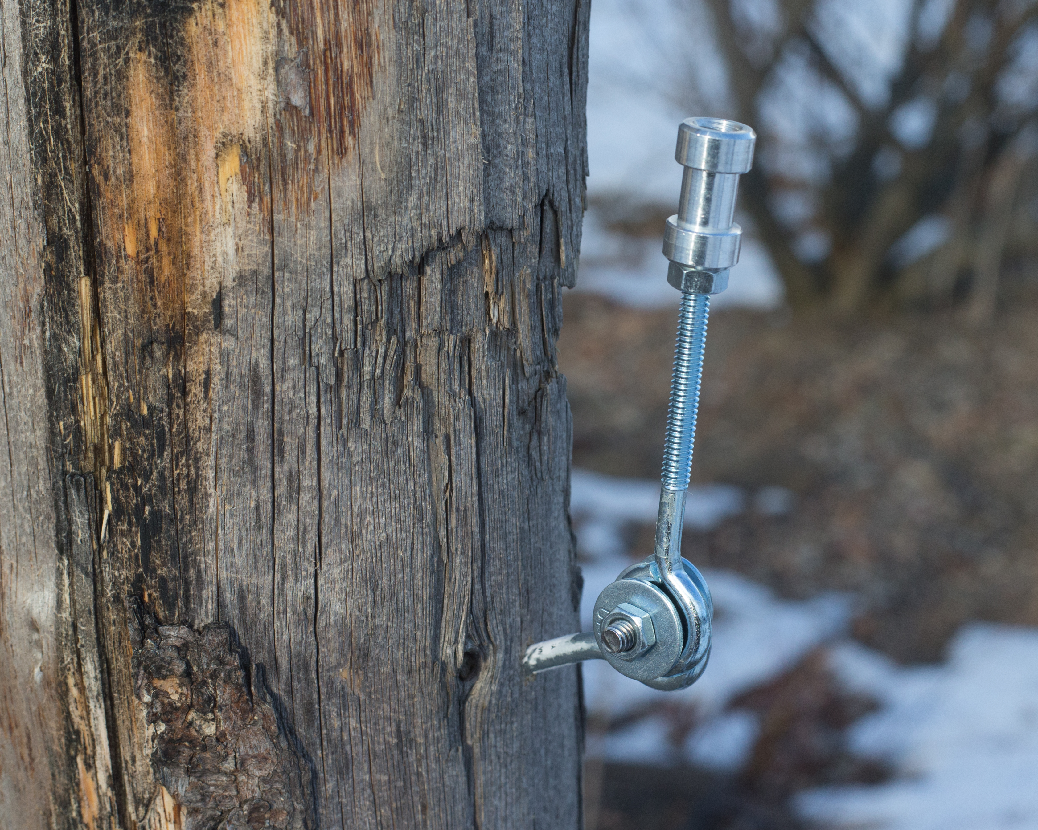 Basic Tree Mounted Flash Stand : 6 Steps - Instructables