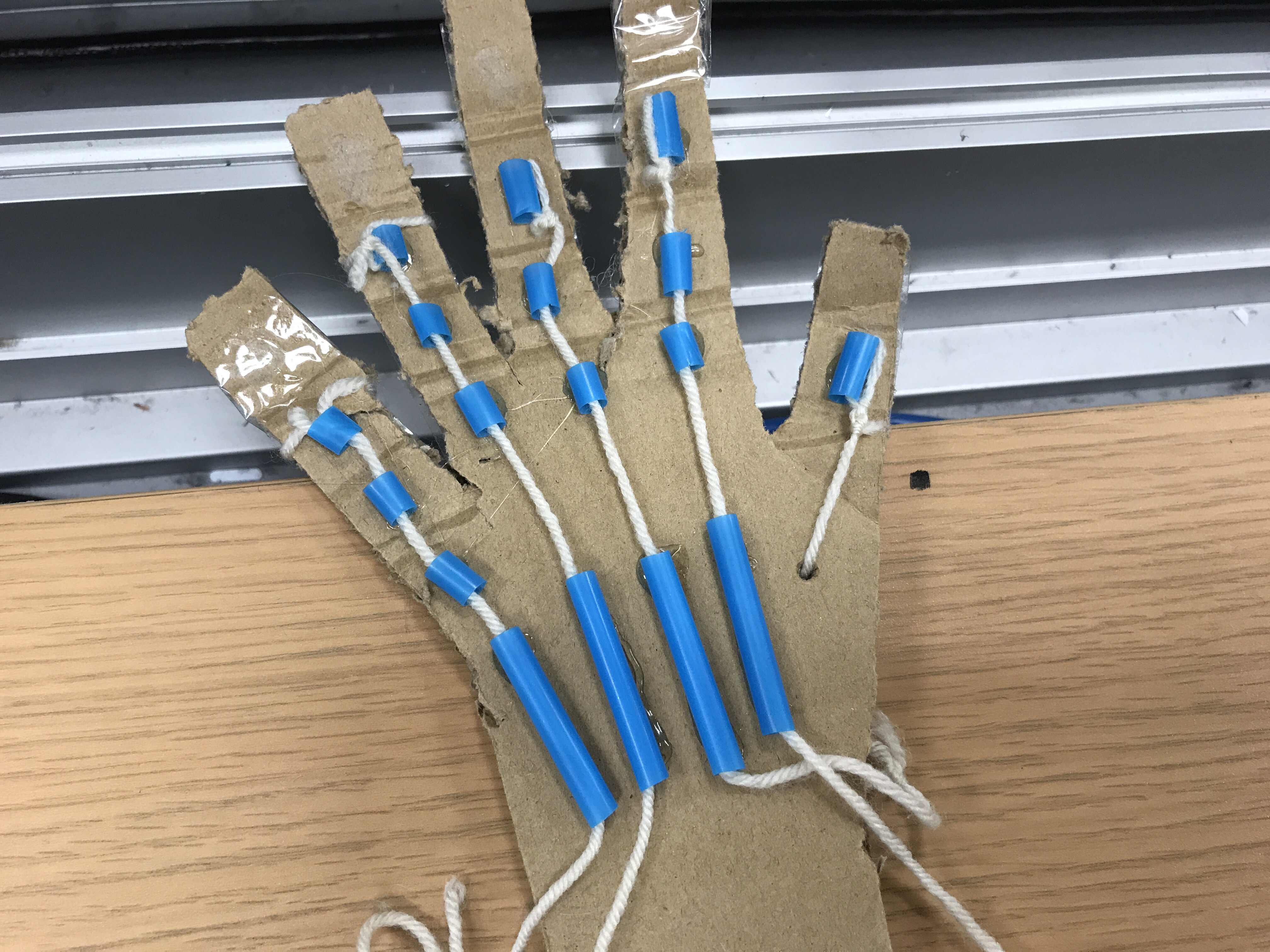 Making a Tendon Model : 6 Steps - Instructables