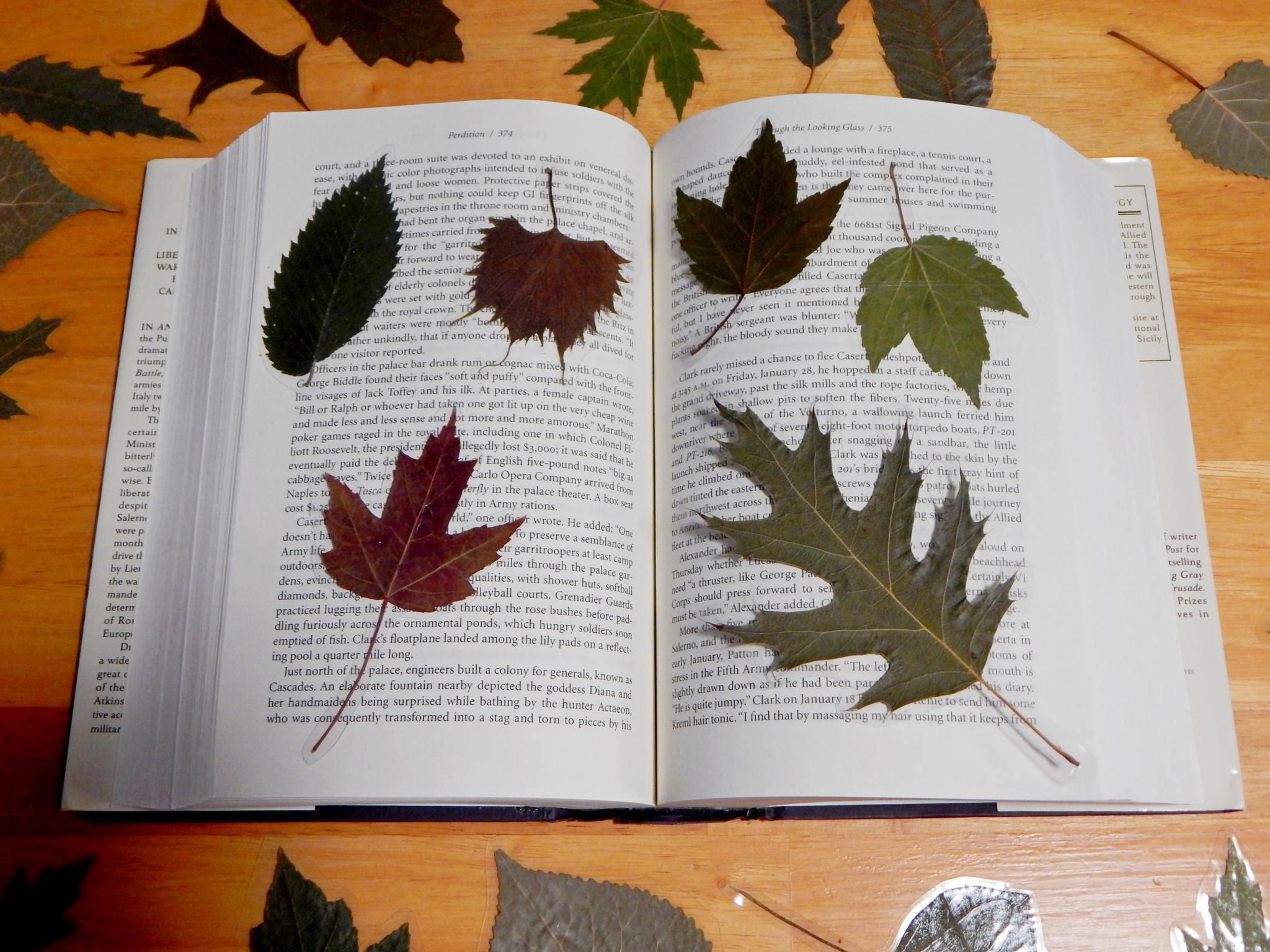 DIY Laminated Leaf Bookmarks : 4 Steps (with Pictures) - Instructables