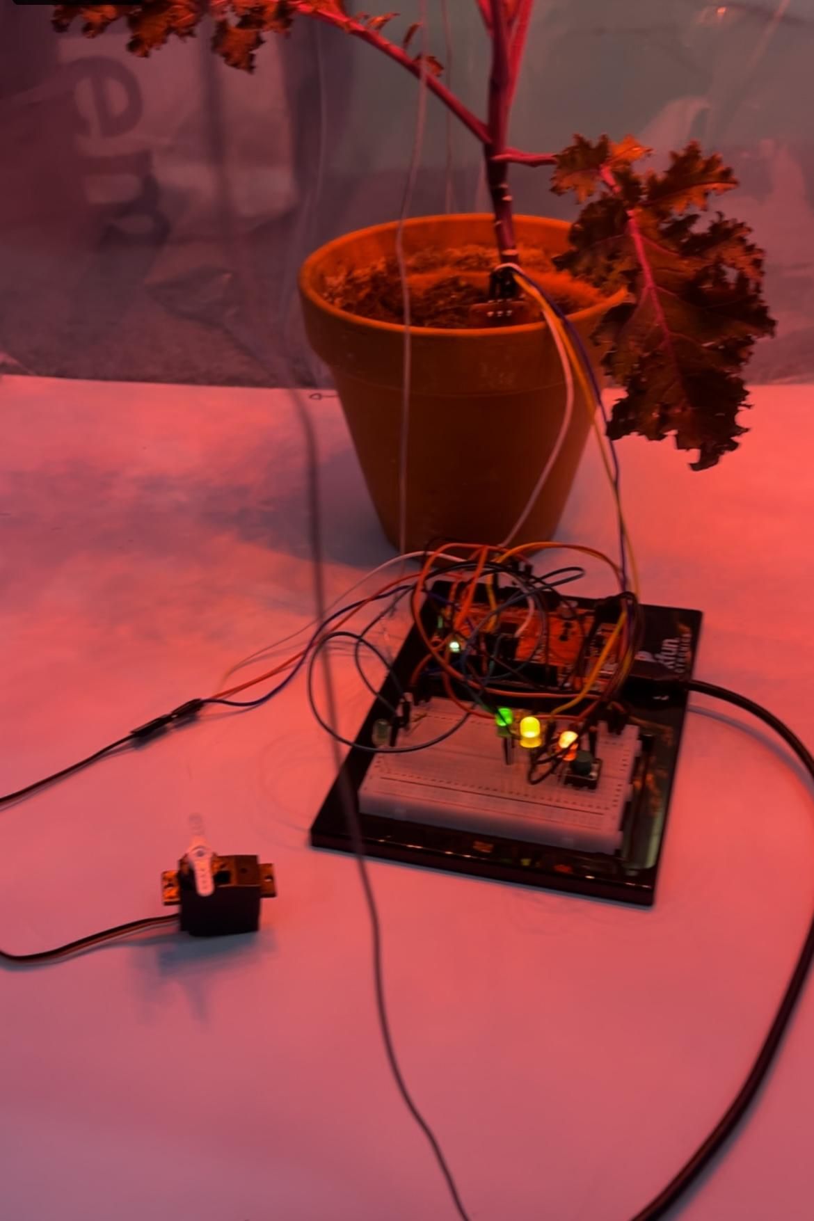 Tinkercad Humidity Sensor / Mini Greenhouse ME208 - University of ...