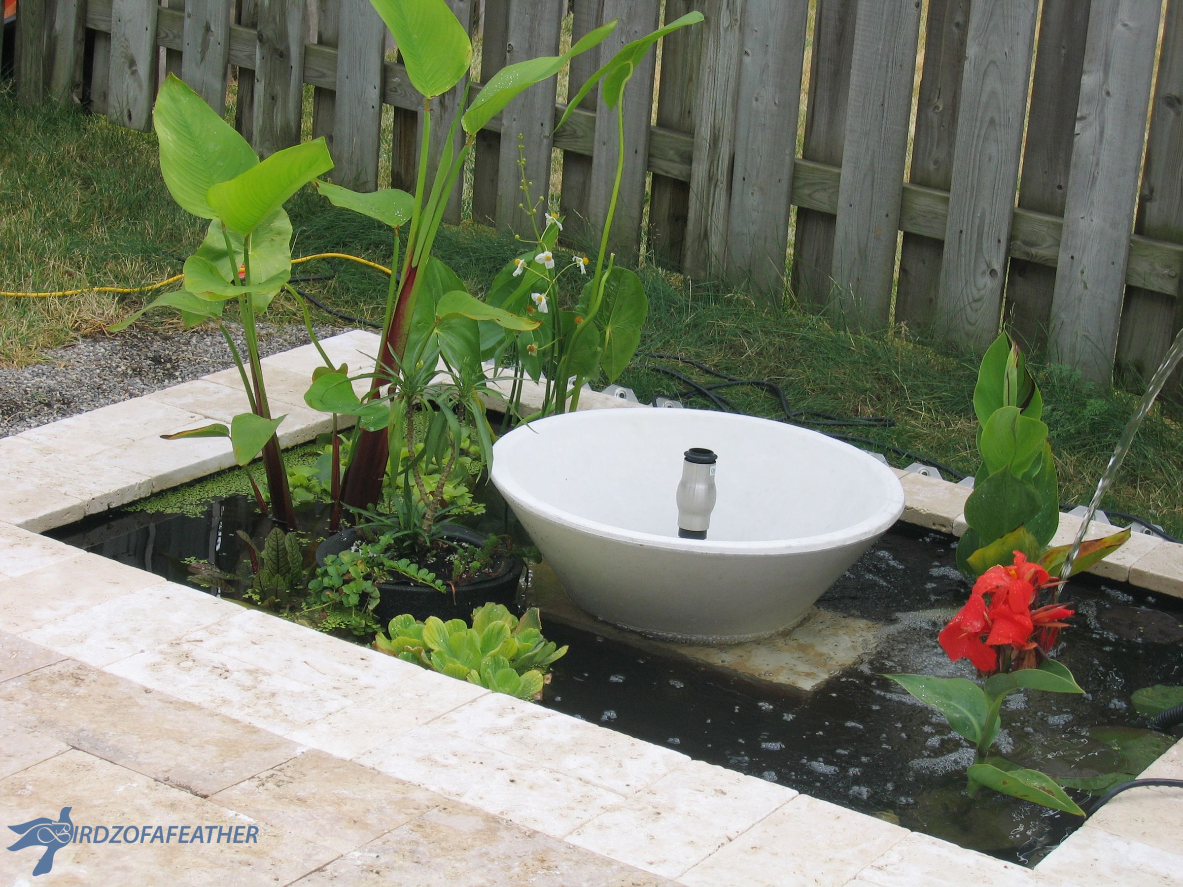 Create a Fountain That Floats on Water : 13 Steps (with Pictures ...