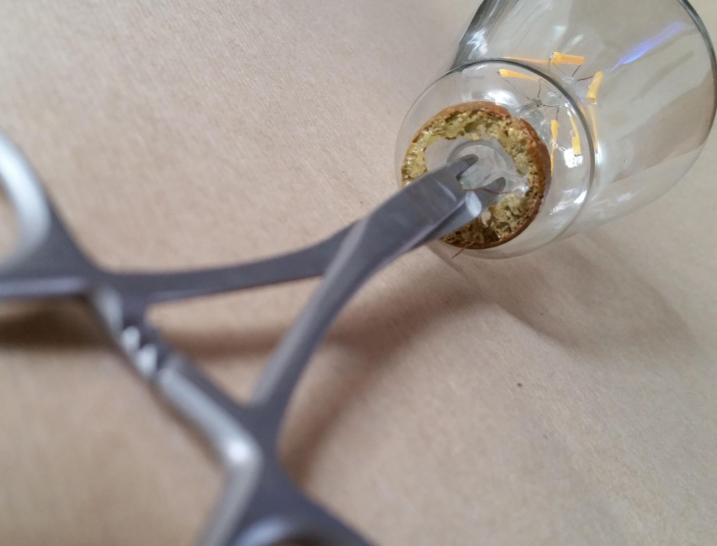 Water Propping Station From Light Bulbs : 8 Steps (with Pictures ...