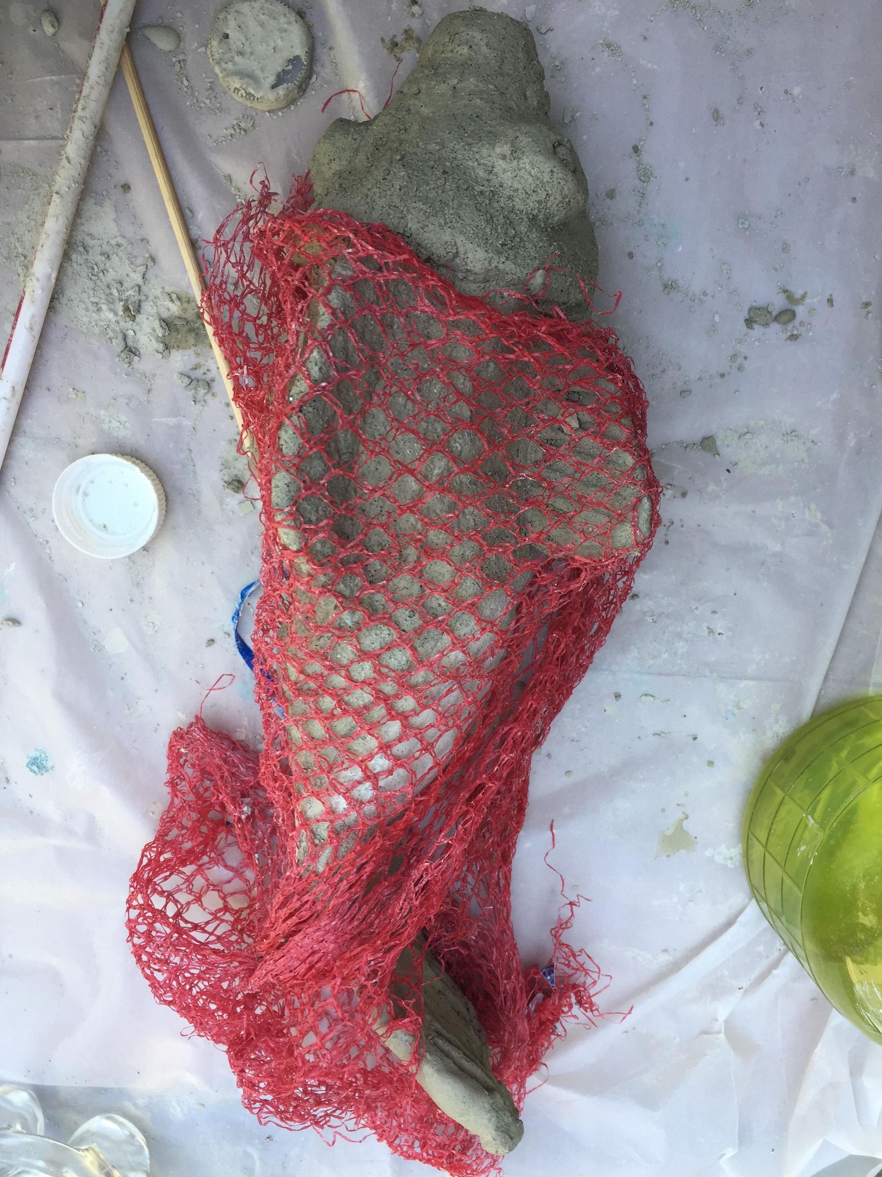 Concrete Garden Fish From Plastic Water Bottles : 4 Steps (with ...