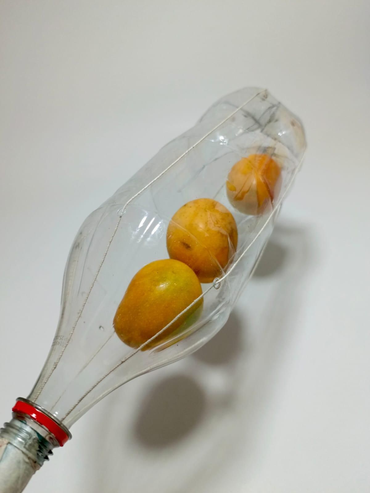 Homemade Fruit Picker : 14 Steps (with Pictures) - Instructables