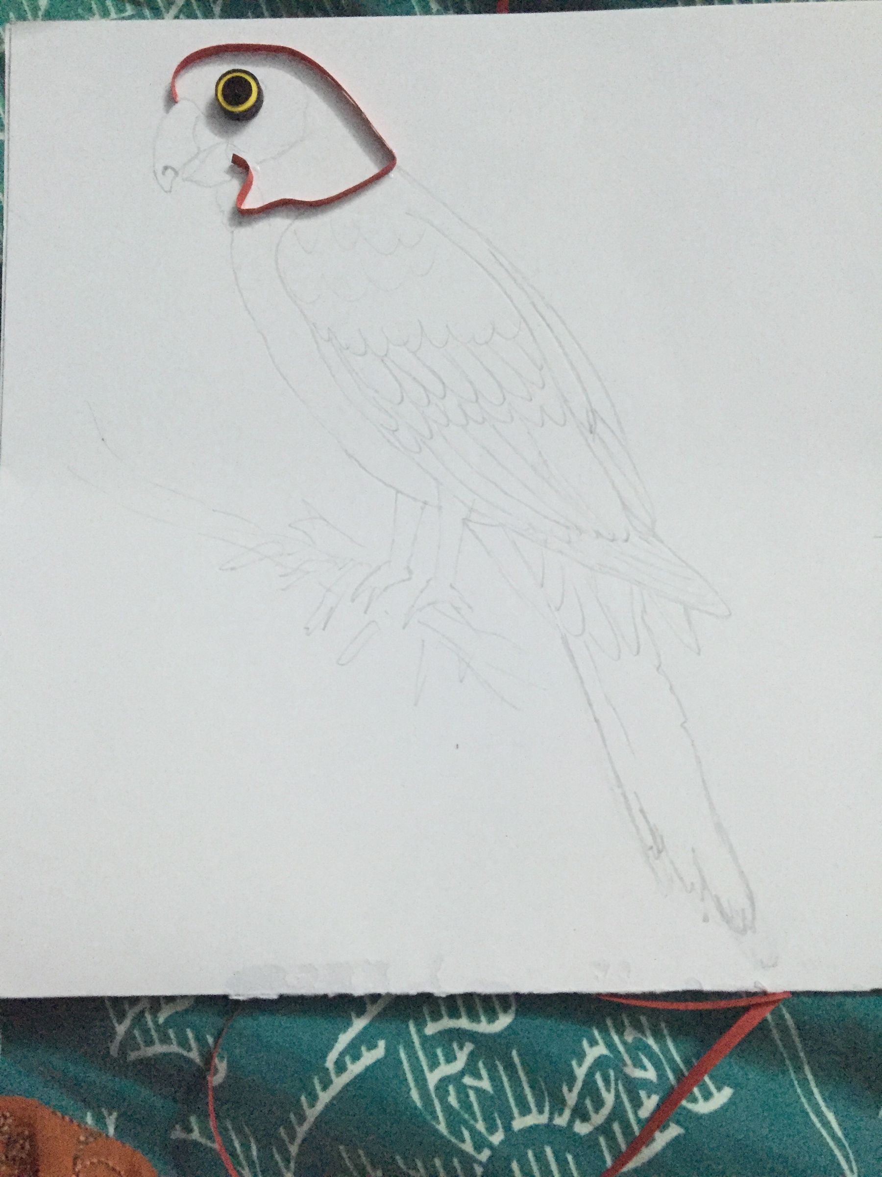 Quilled Parrot (with Pictures) - Instructables