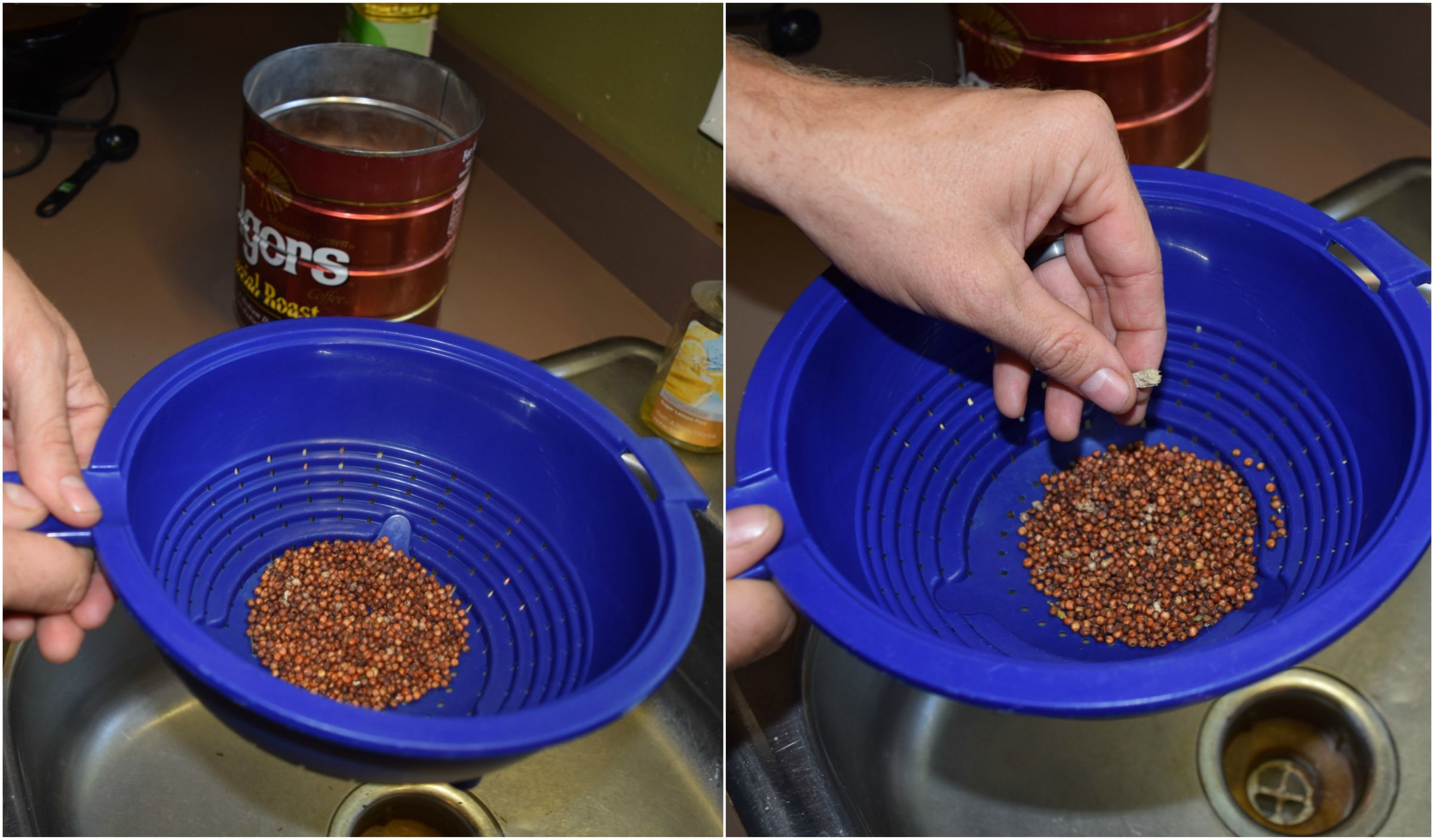 Popped Milo : 4 Steps (with Pictures) - Instructables