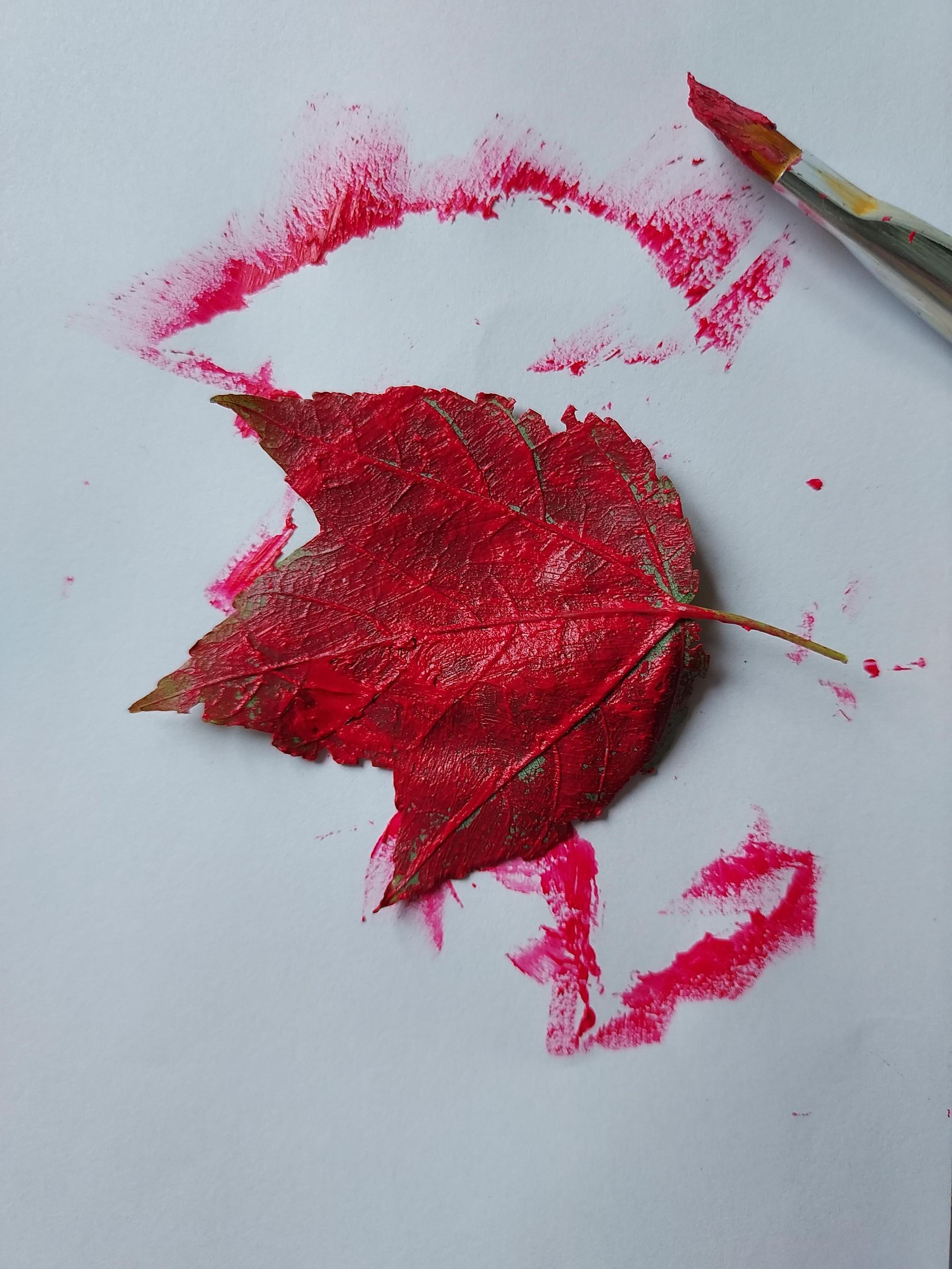 Rainbow Leaf Pressing : 6 Steps - Instructables